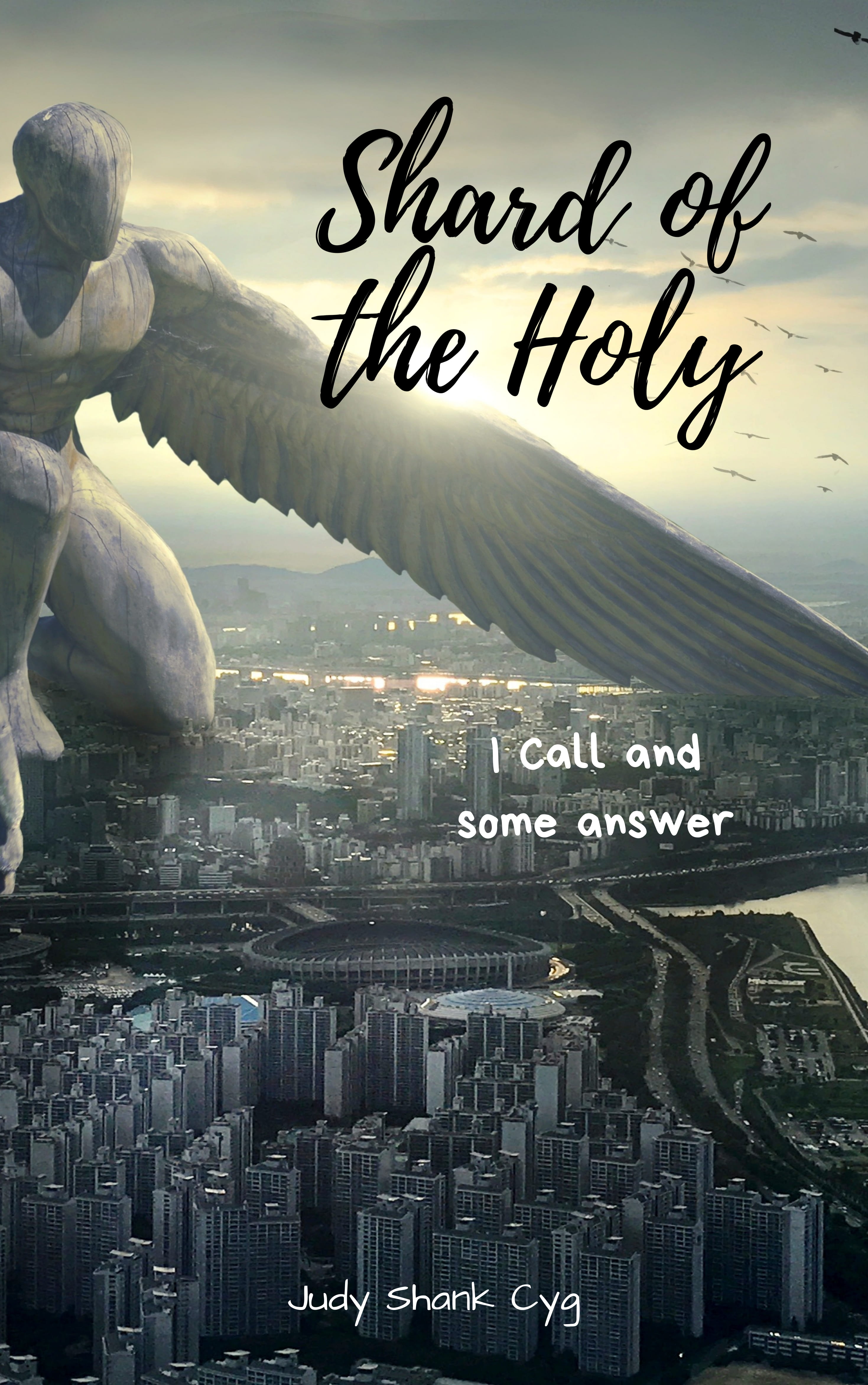 Shard of the Holy: I Call and Some Answer by Judy Shank Cyg | Goodreads