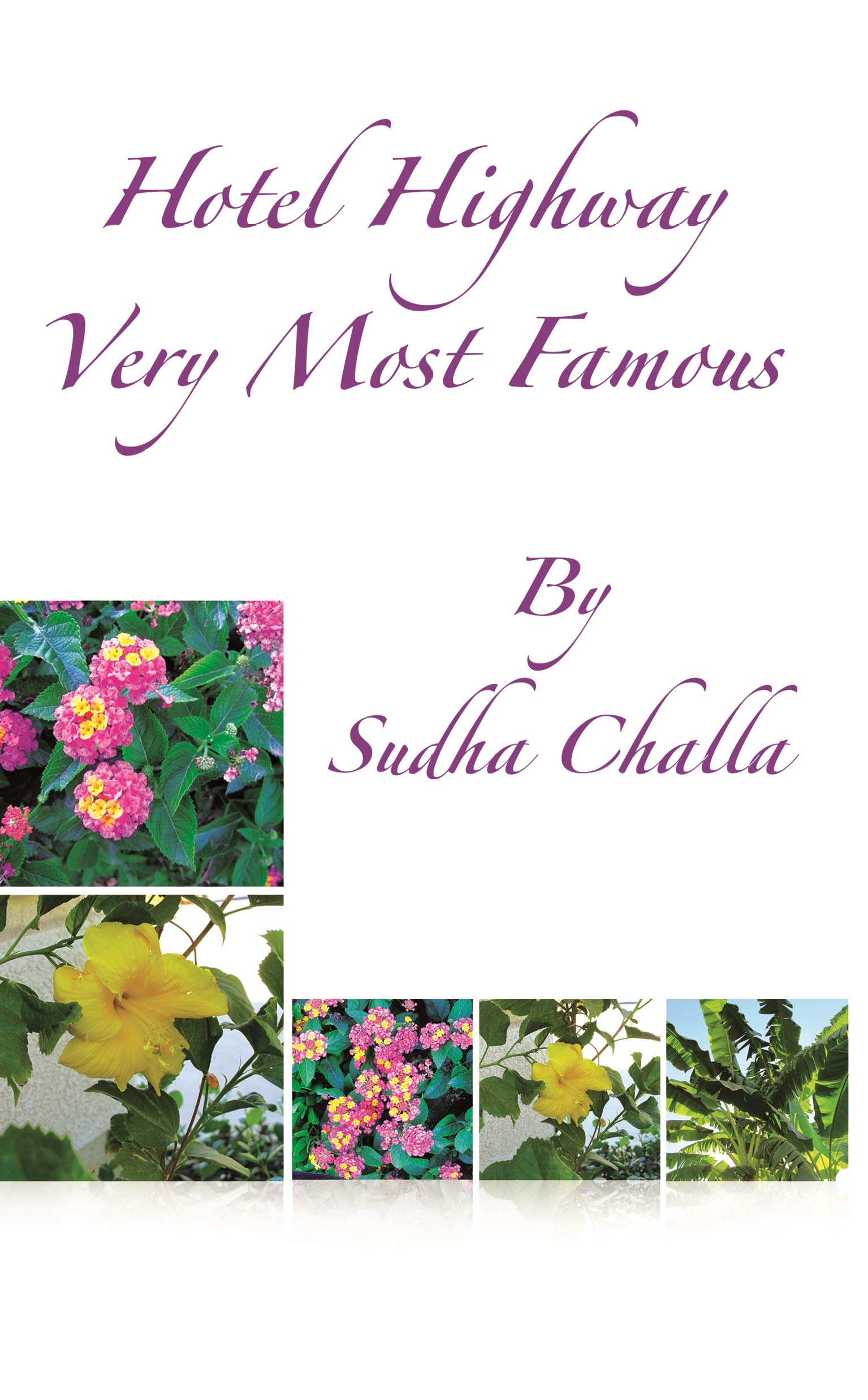 Hotel Highway Very Most Famous by Sudha Challa | Goodreads
