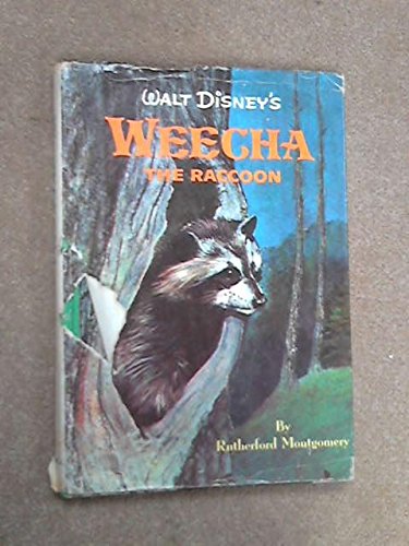 Walt Disney's Weecha the Raccoon by Rutherford; Illustrated by Lawrence ...