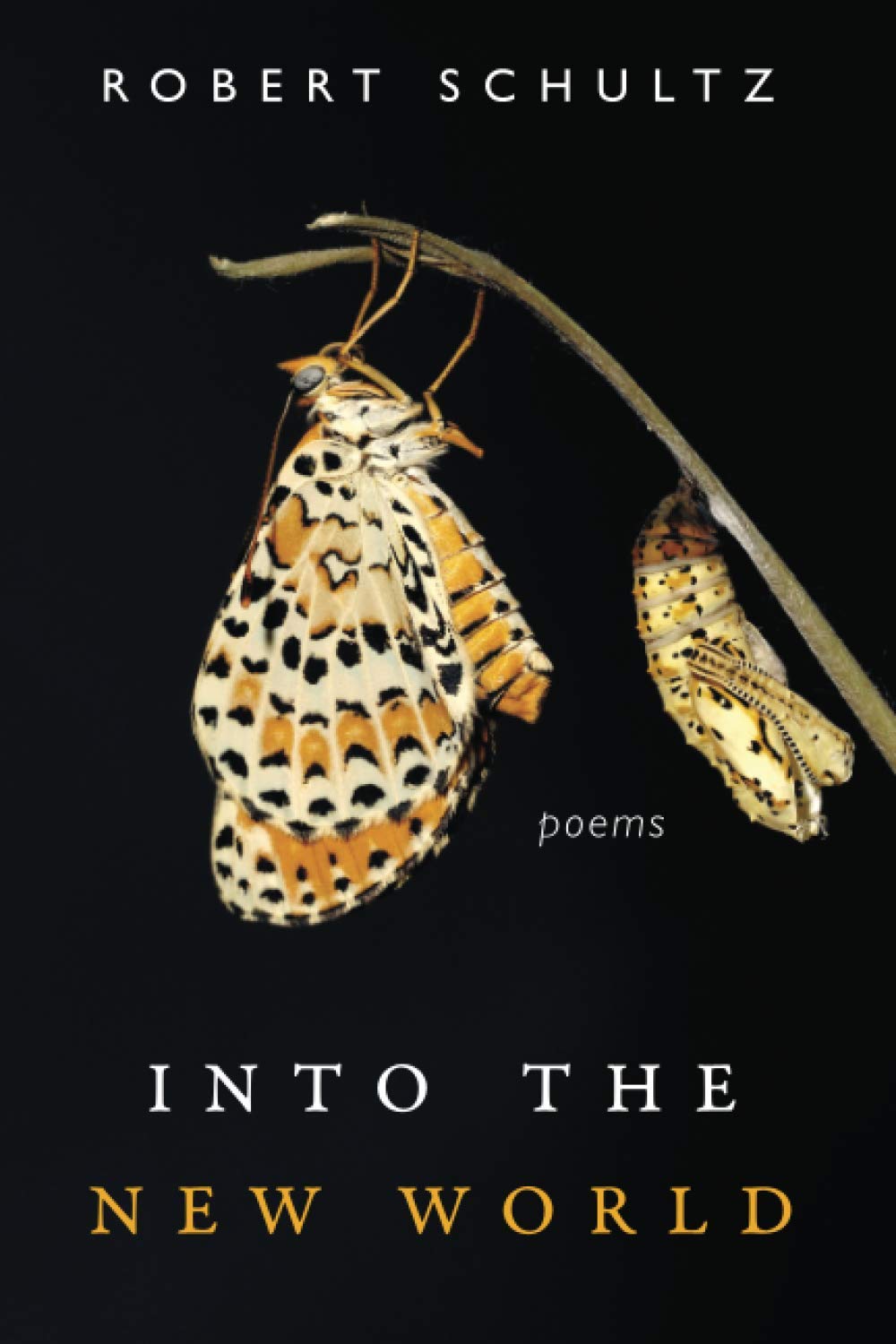 Into the New World by Robert Schultz | Goodreads