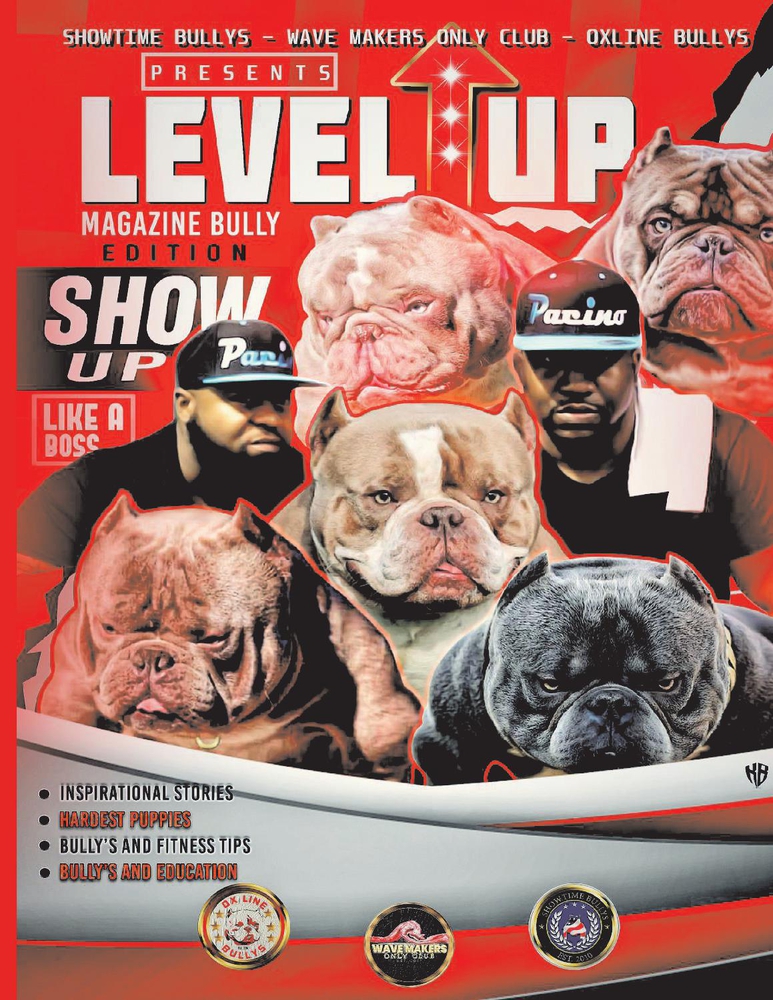 Level Up Magazine Bully Edition by Michael Huff | Goodreads