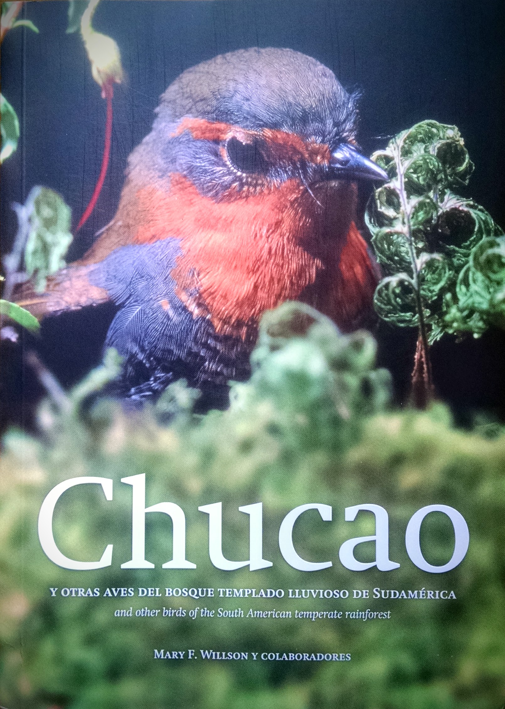 Chucao y otras aves del bosque templado lluvioso de Sudamérica by Mary ...