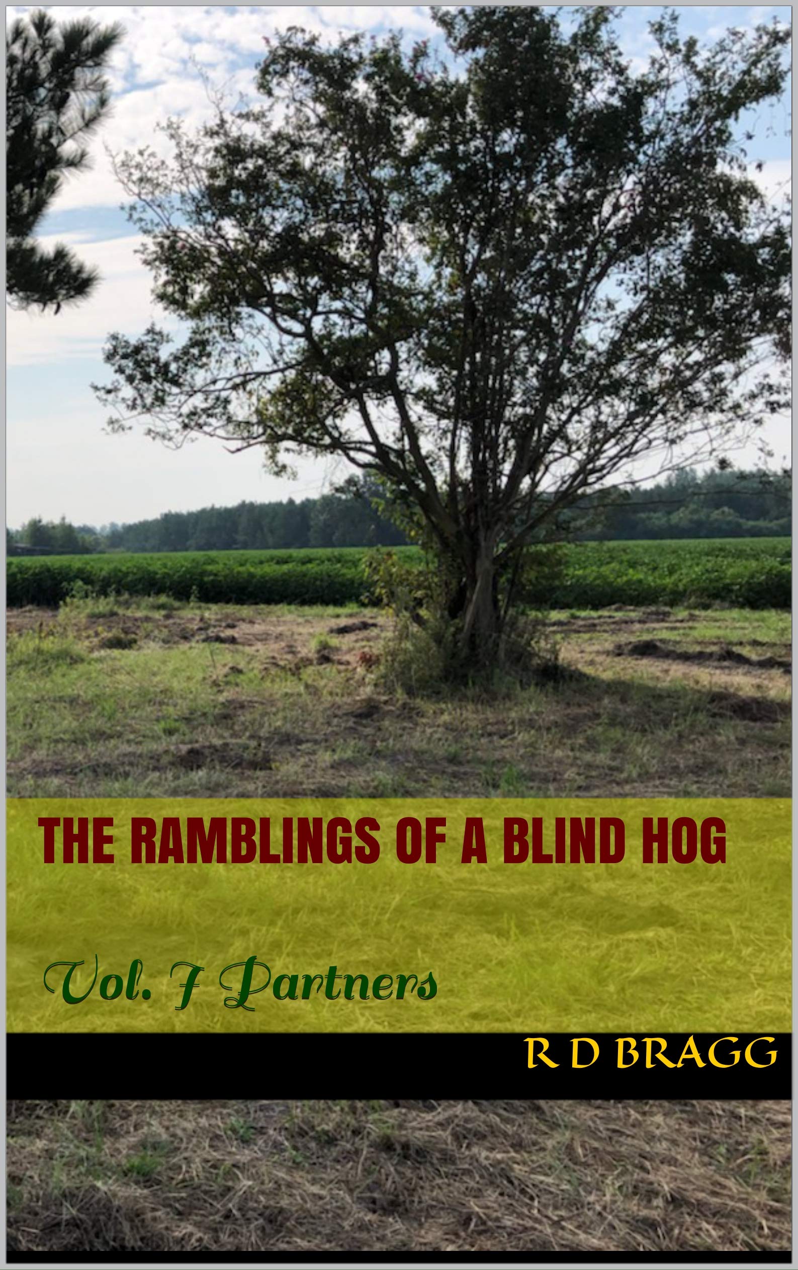 The Ramblings of a Blind Hog : Vol. I Partners by R.D. Bragg | Goodreads