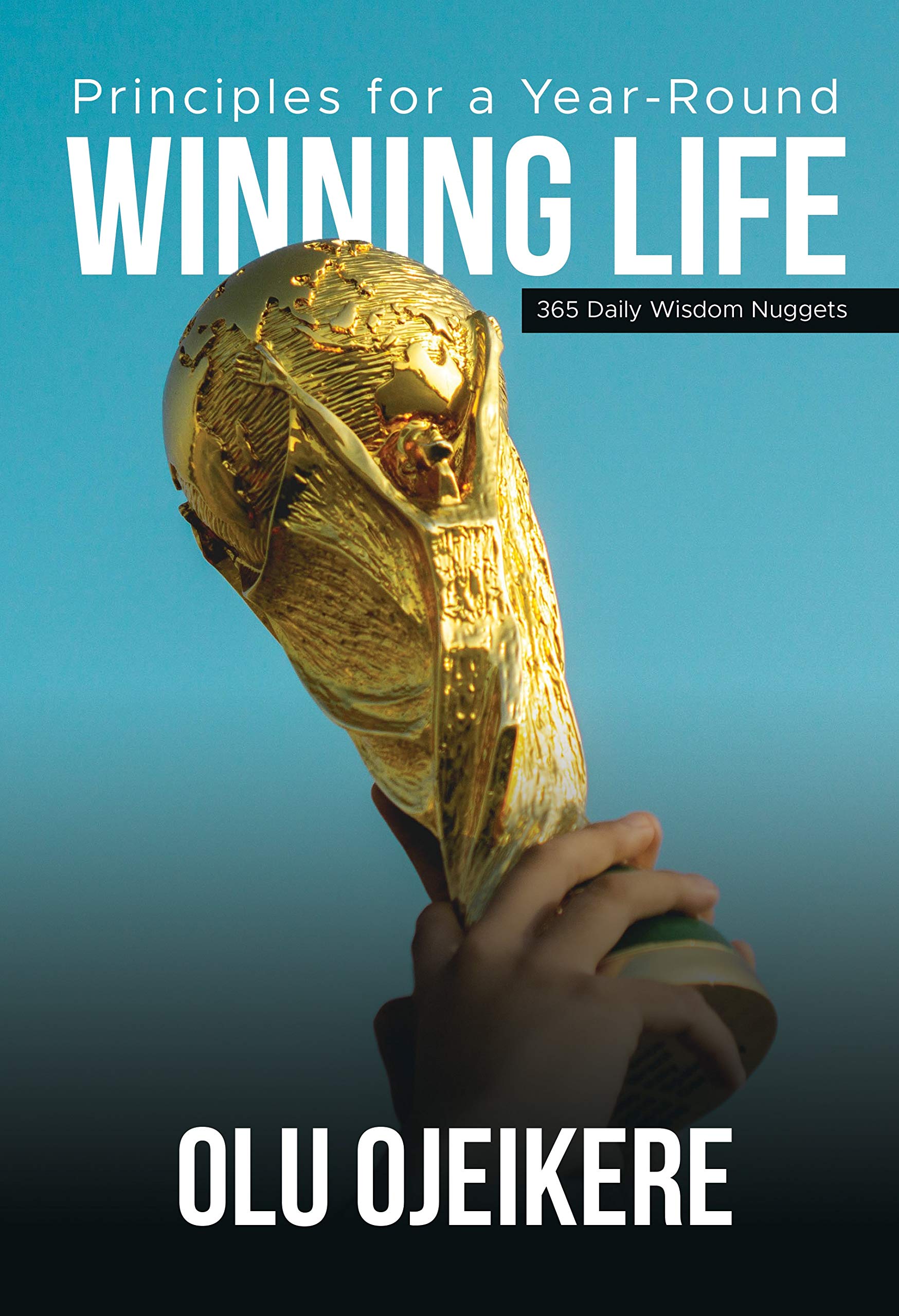 Principles for a Year-Round Winning Life: 365 Daily Wisdom Nuggets by ...