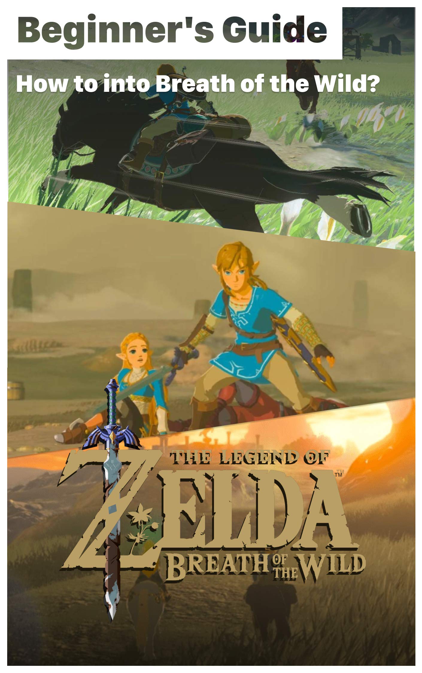 Beginer's guide: Starting tips for Zelda Breath of the Wild : How to ...