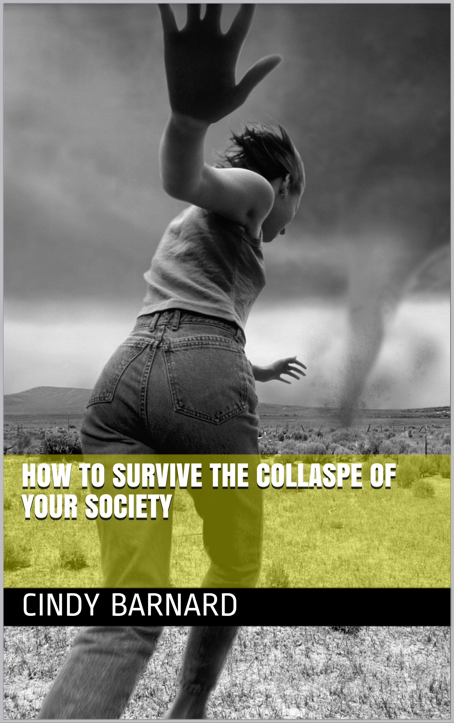 How to Survive the Collapse of your Society by Cindy Barnard | Goodreads