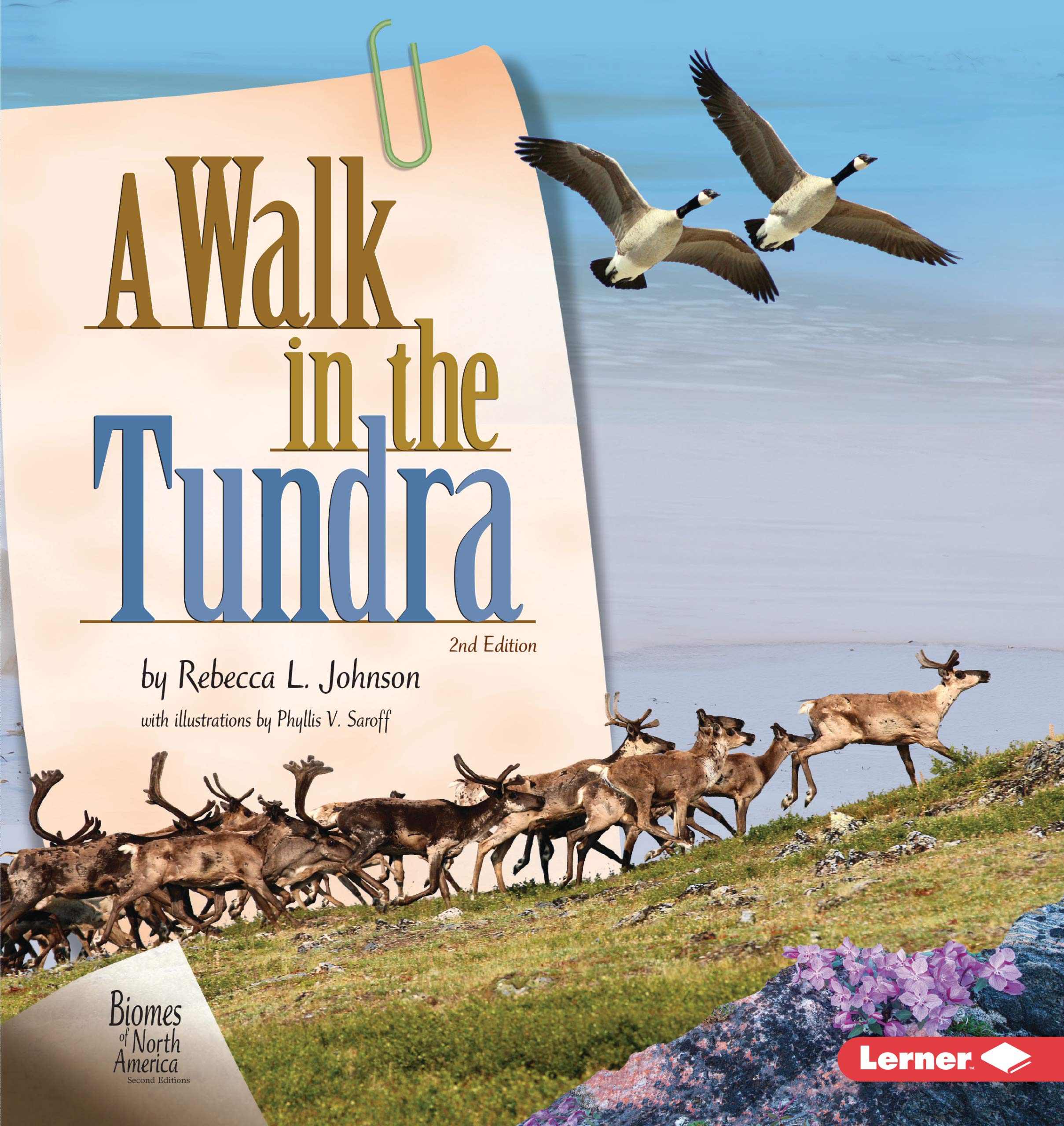 A Walk in the Tundra, 2nd Edition by Rebecca L. Johnson | Goodreads