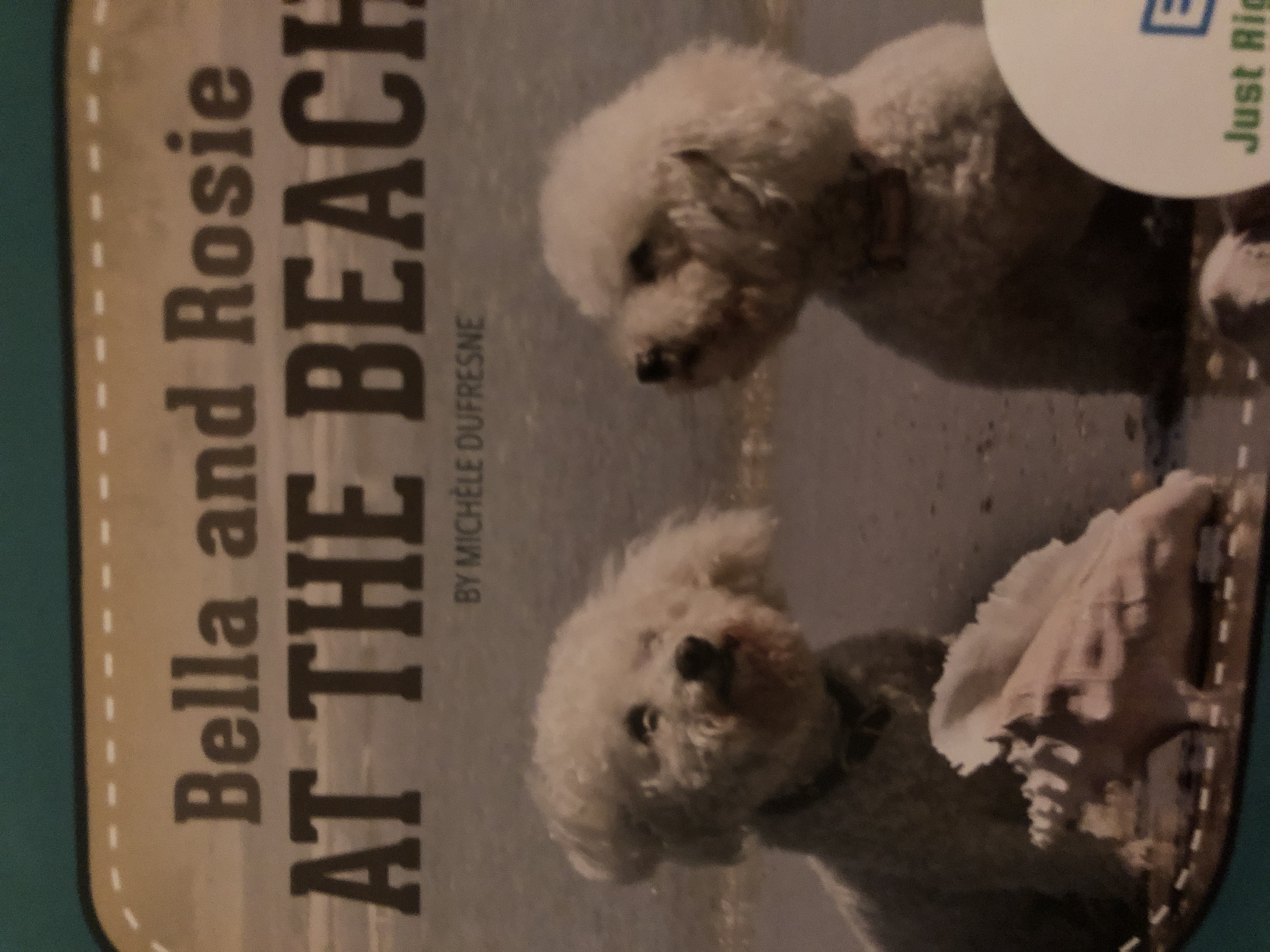 Bella and Rosie at the Beach by Michele Dufresne | Goodreads