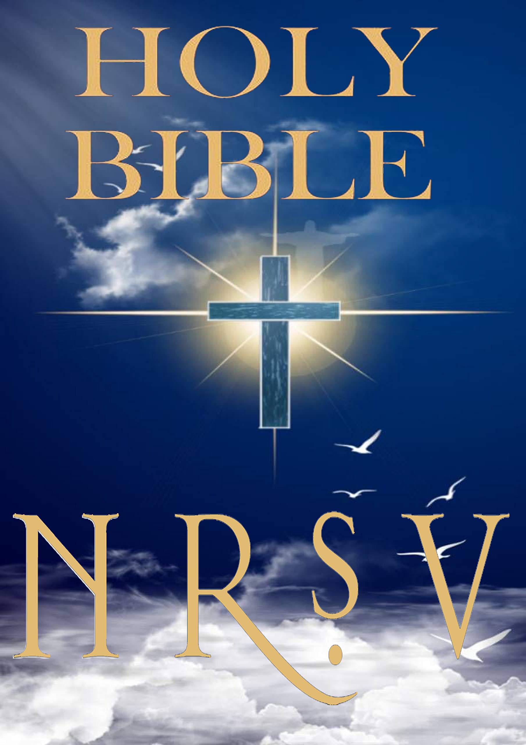 The Holy Bible New Revised Standard Version Old and New Testament ...