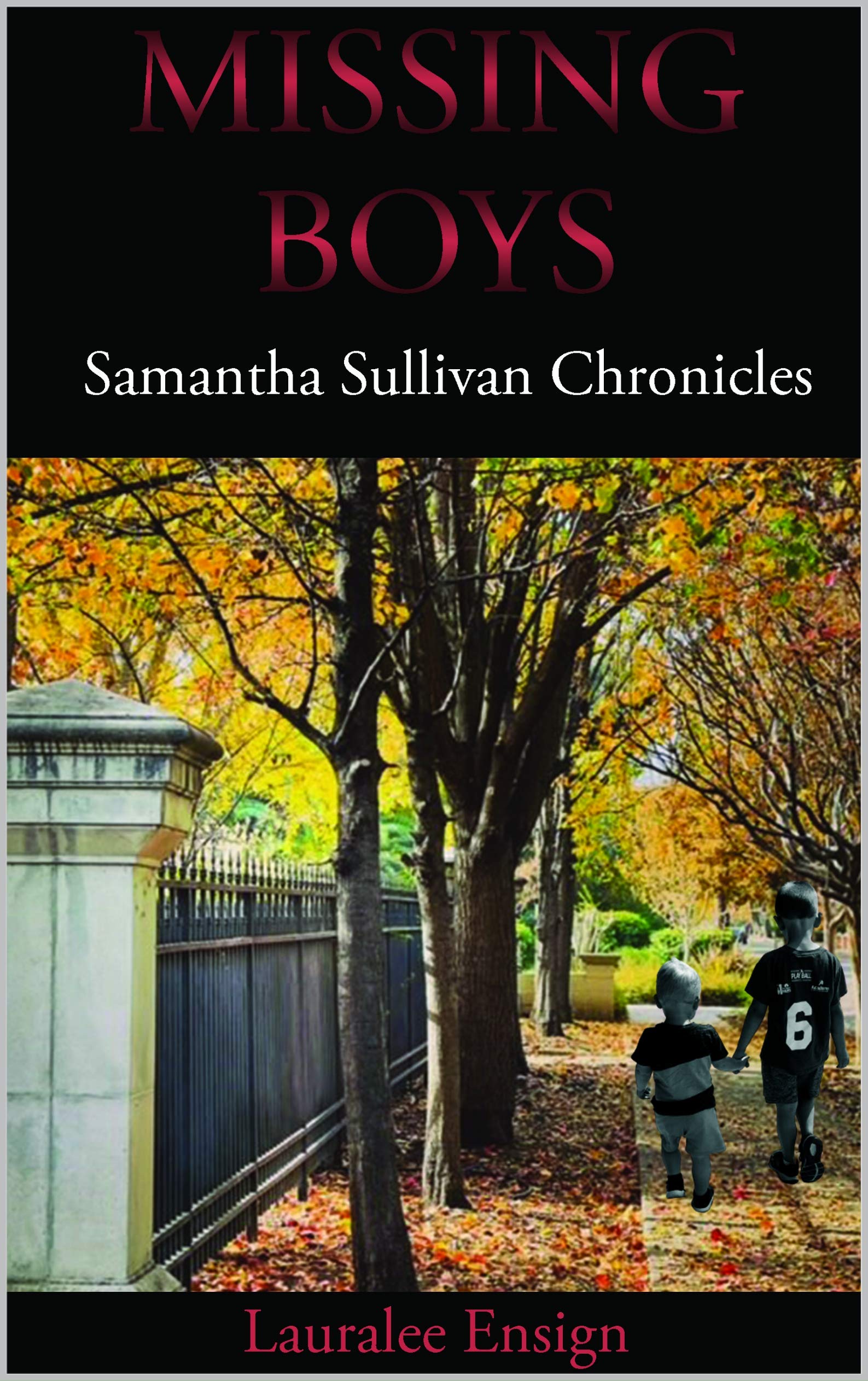 Missing Boys: Samantha Sullivan Chronicles by Lauralee Ensign | Goodreads