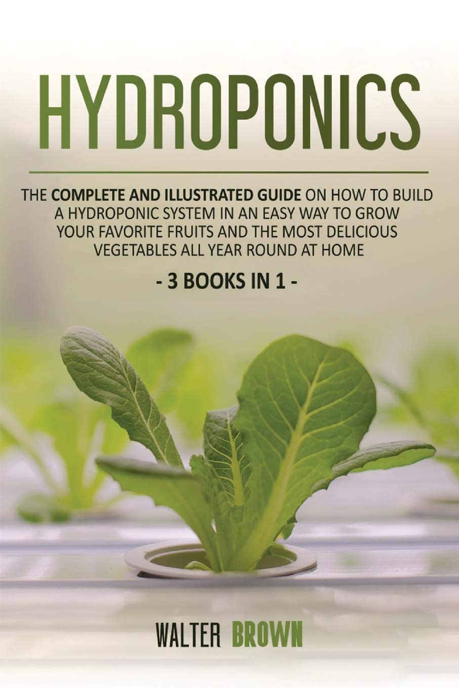 Hydroponics: The Complete and Illustrated Guide on How to Build a ...