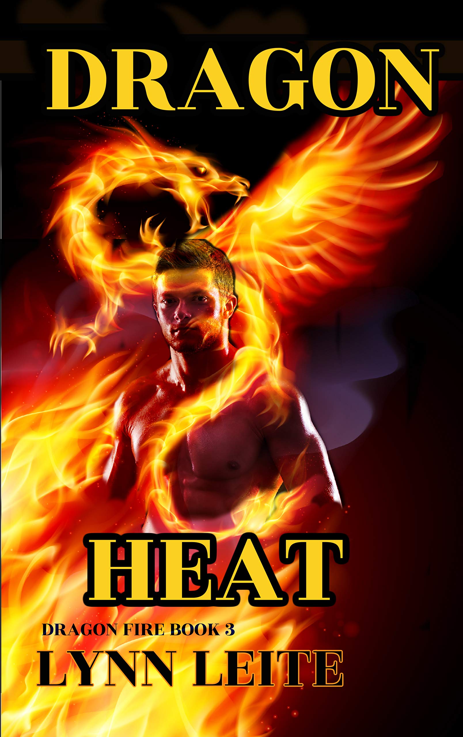 Dragon Heat (Dragon Fire #3) by Lynn Leite | Goodreads
