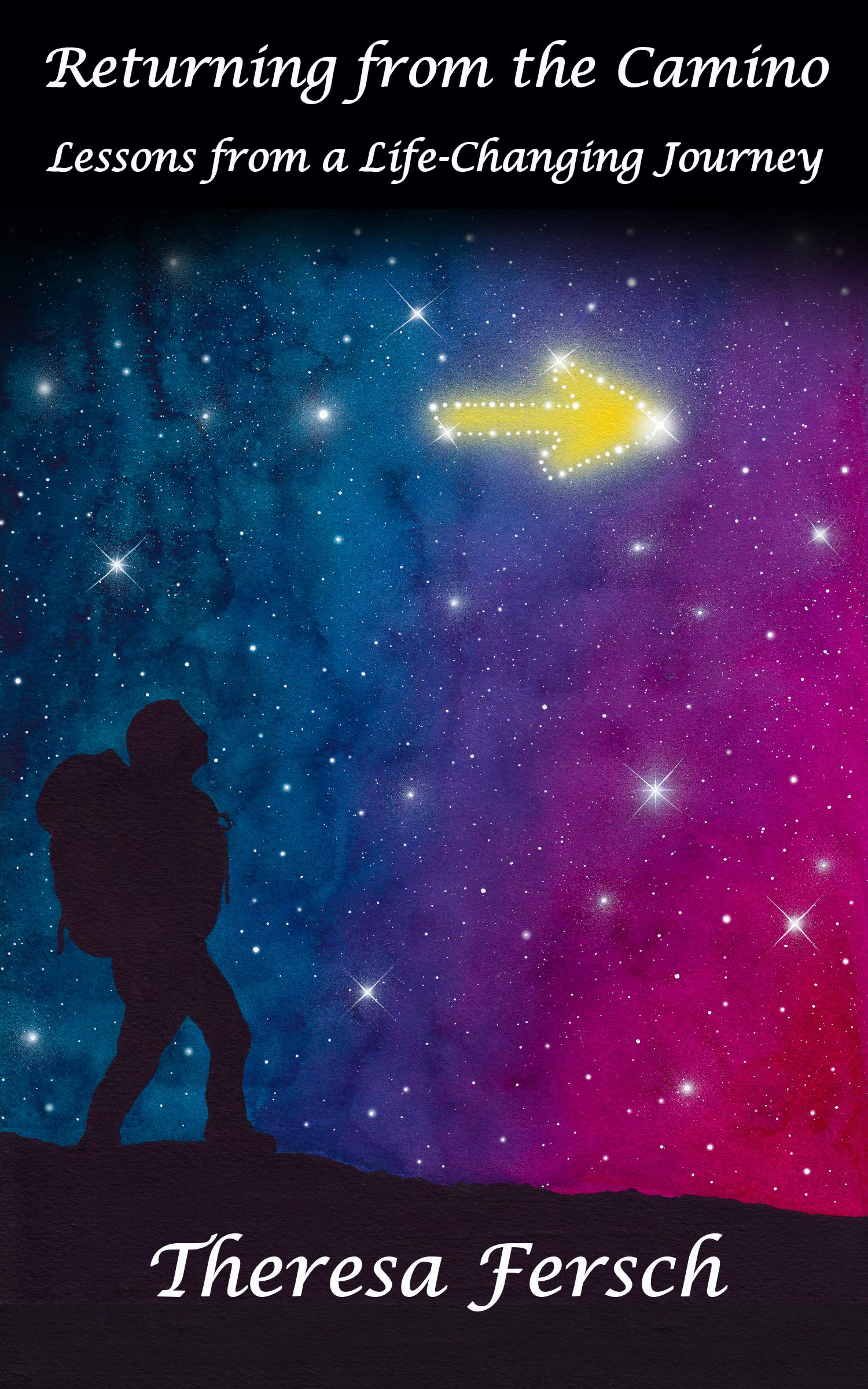 Returning from the Camino: Lessons from a Life-Changing Journey by ...