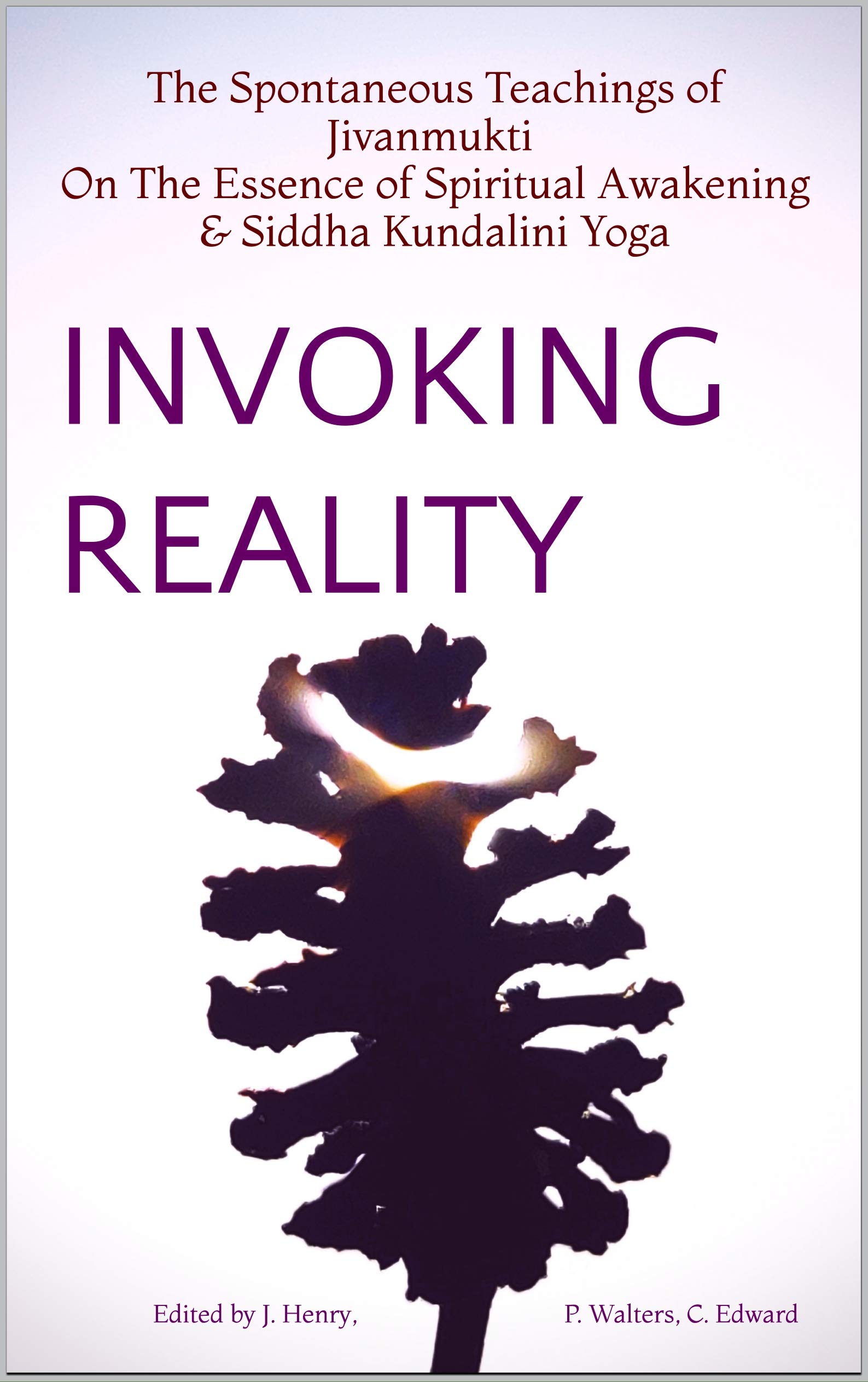Invoking Reality: The Spontaneous Teachings of Jivanmukti On The ...