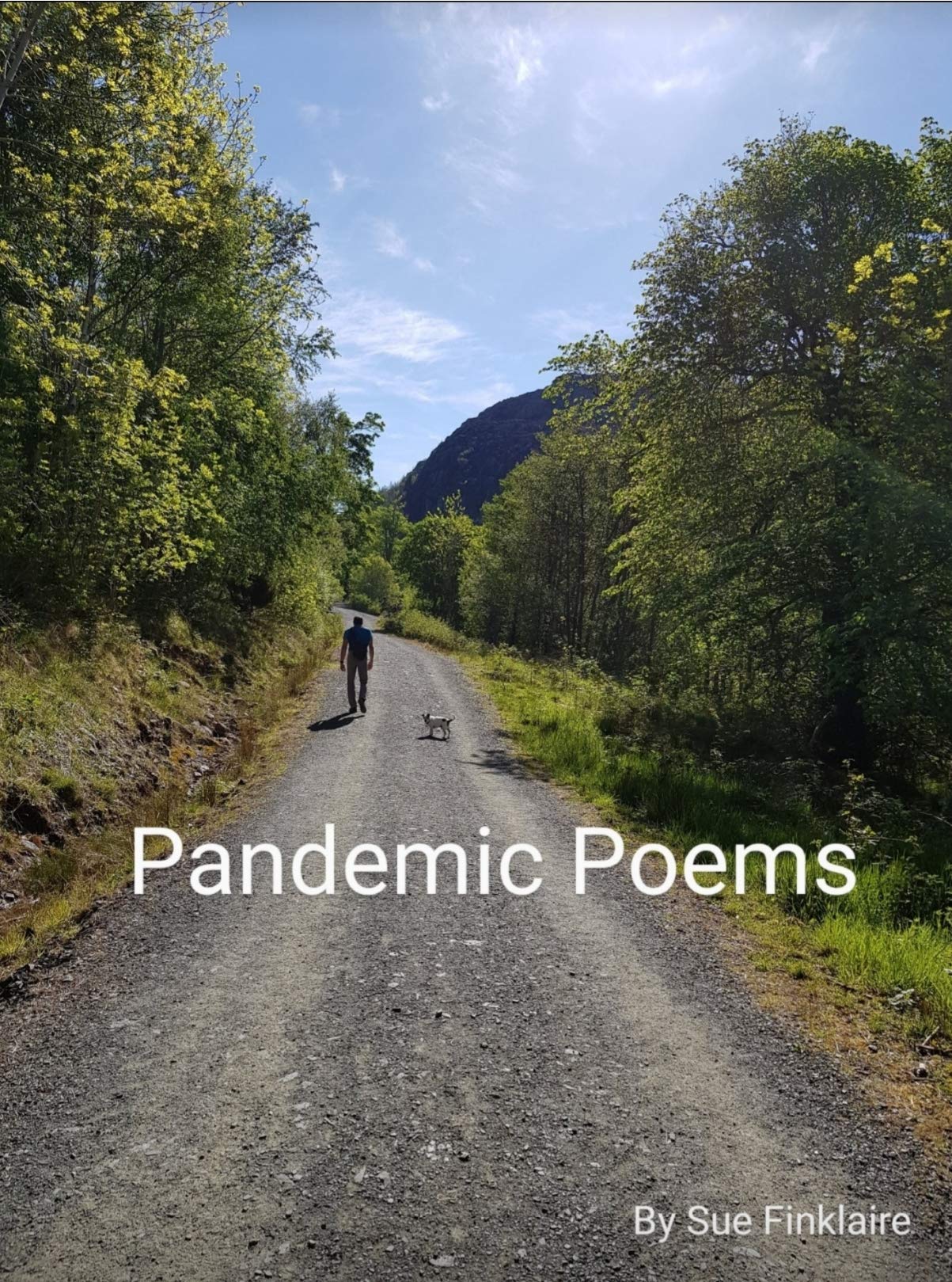 Pandemic Poems by Sue Finklaire | Goodreads