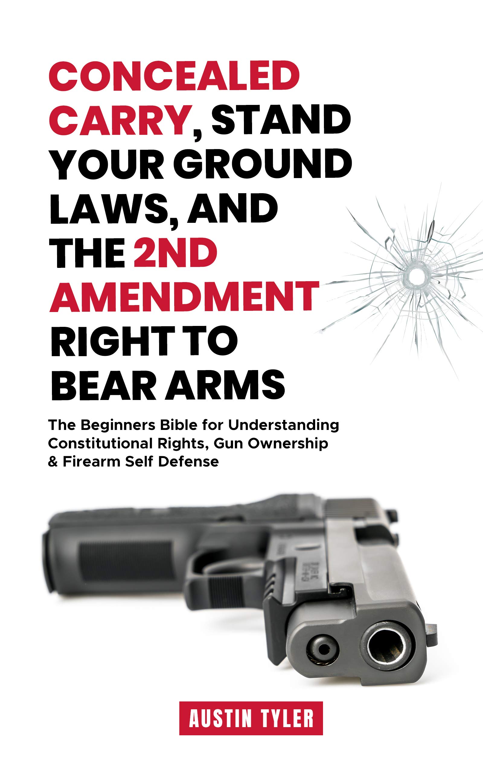 2nd Amendment Right To Bear Arms