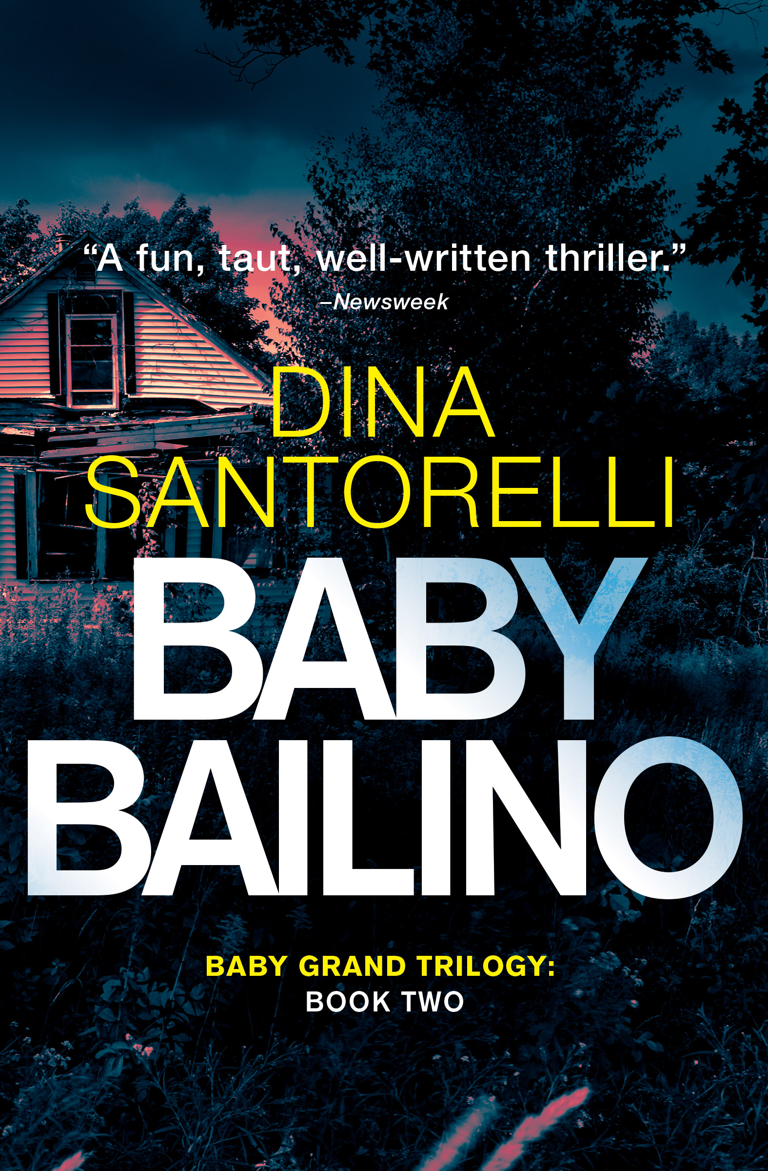Baby Bailino (Baby Grand #2) by Dina Santorelli | Goodreads