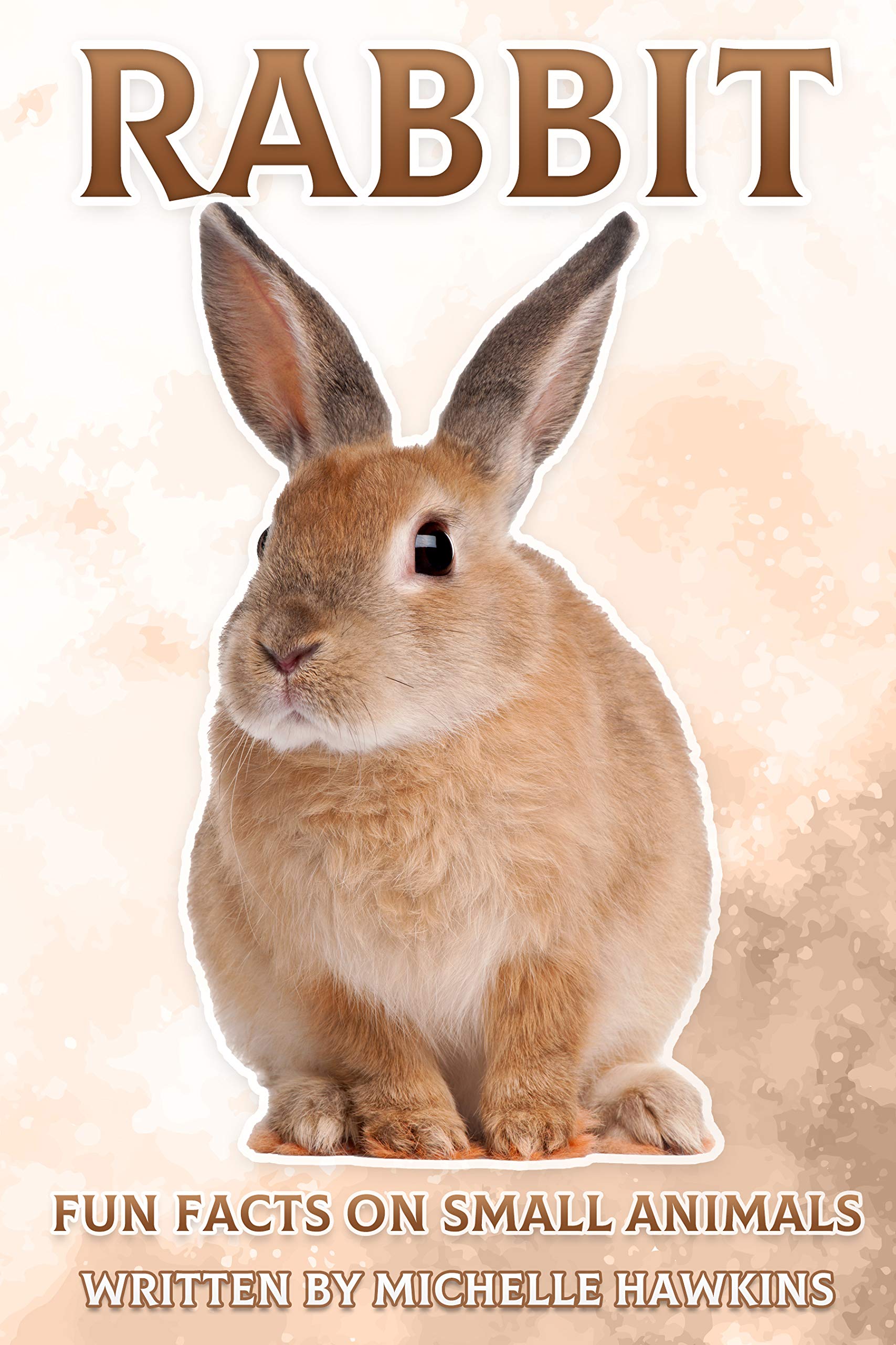 Rabbit: Fun Facts on Small Animals #1 by Michelle Hawkins | Goodreads