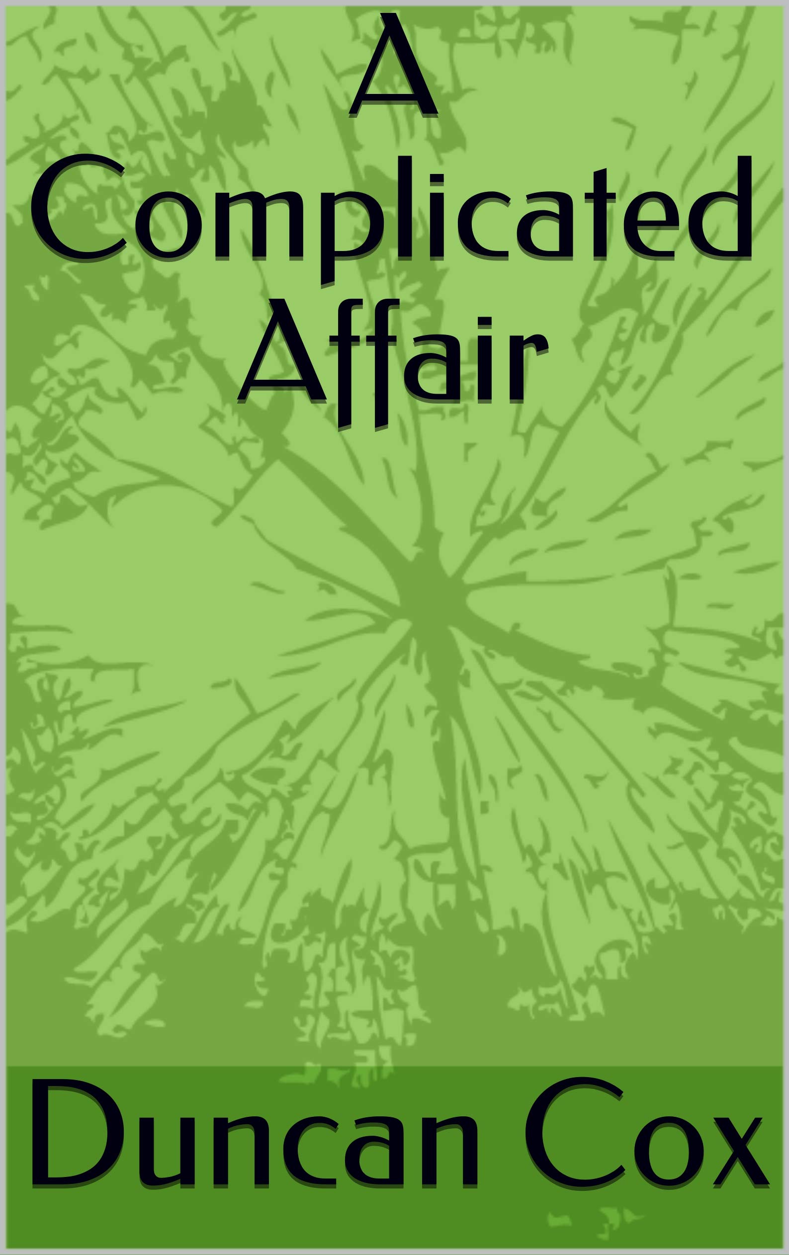 A Complicated Affair by Duncan Cox | Goodreads