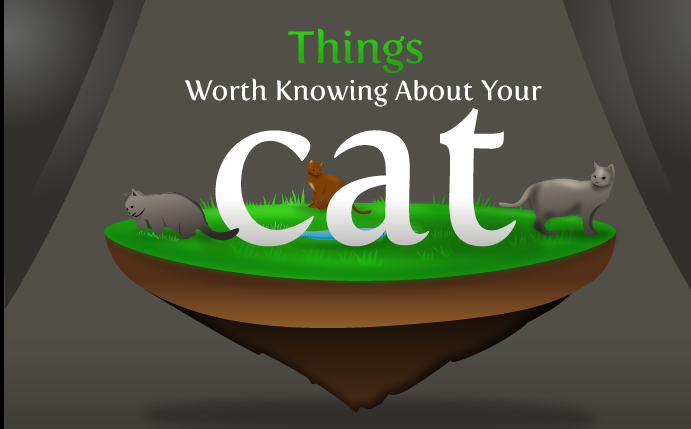 10 Things Worth Knowing about Your Cat by Matthew Inman | Goodreads