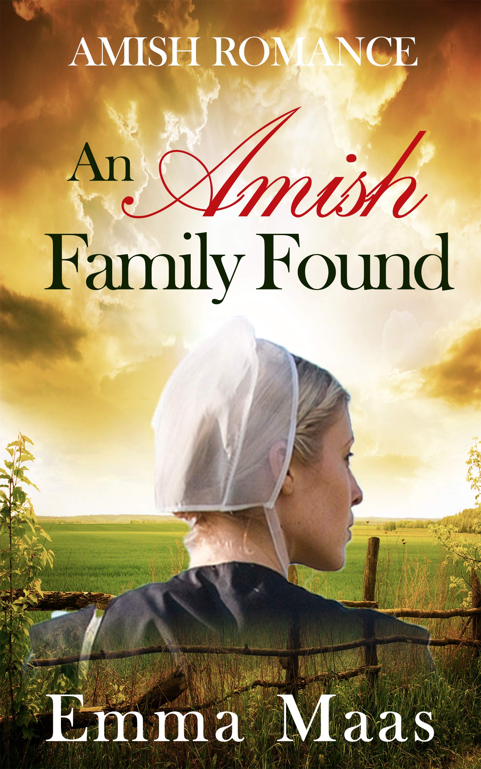 An Amish Family Found by Emma Maas | Goodreads
