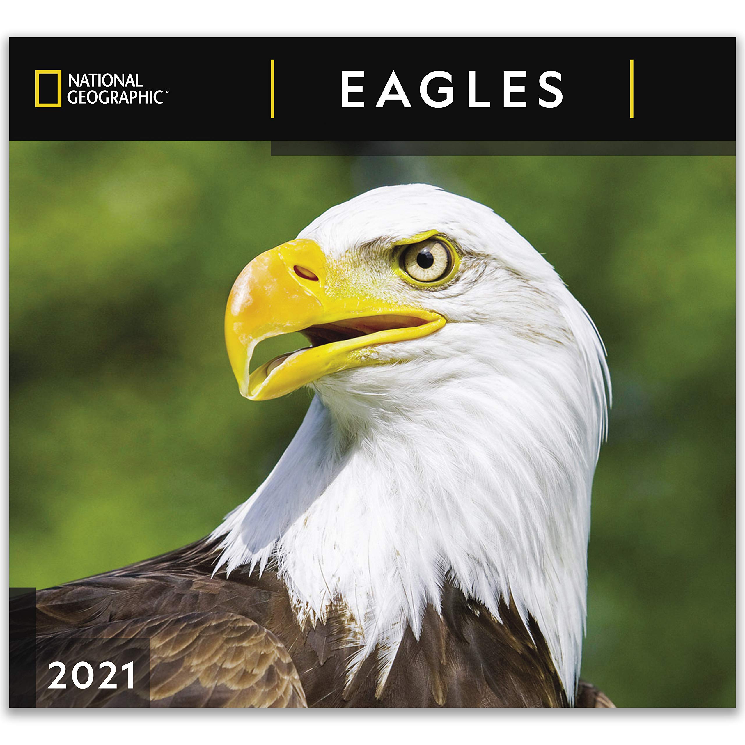 National Geographic Eagles 2021 Wall Calendar by Zebra Publishing ...
