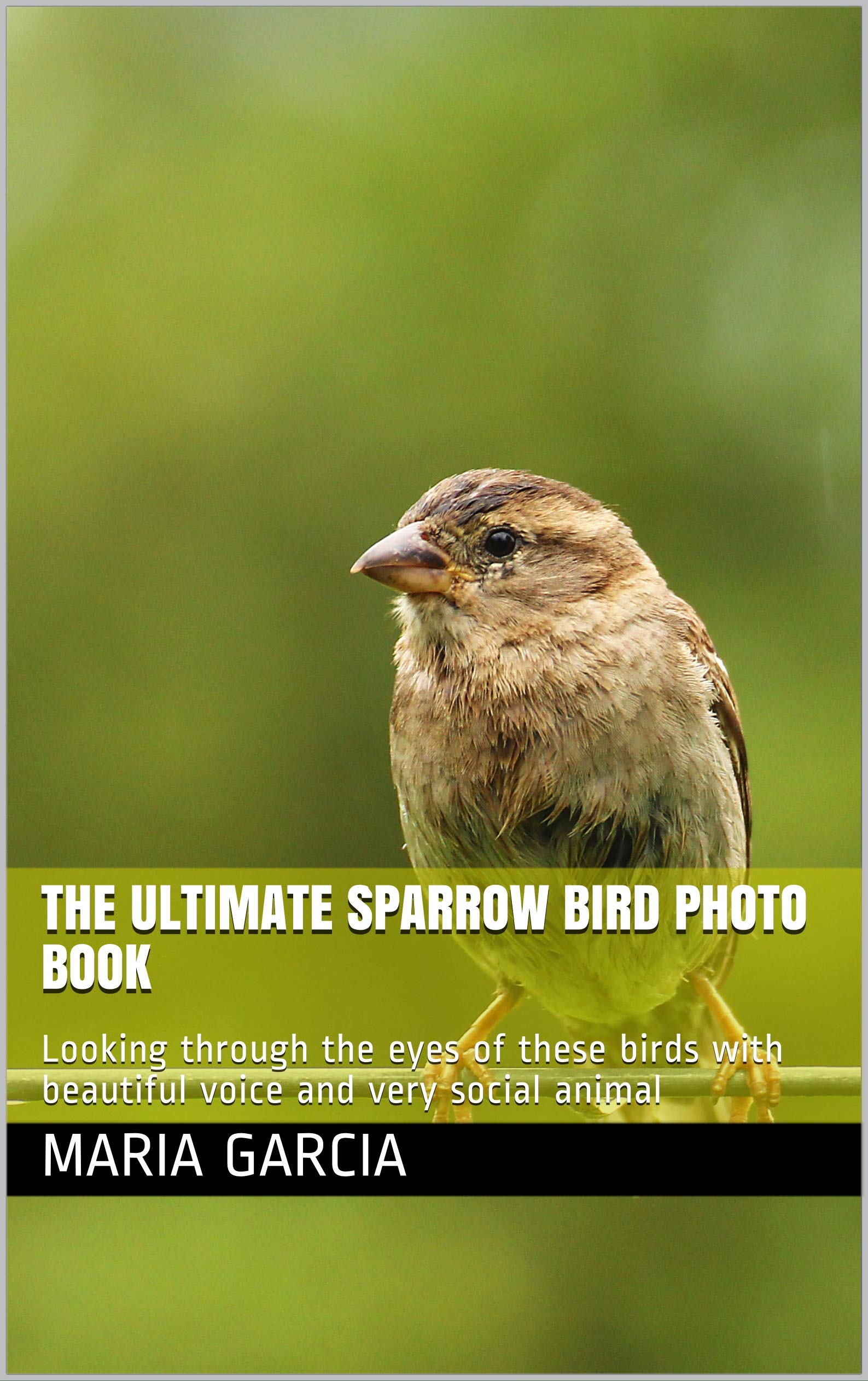 The Ultimate Sparrow Bird Photo Book: Looking through the eyes of these ...