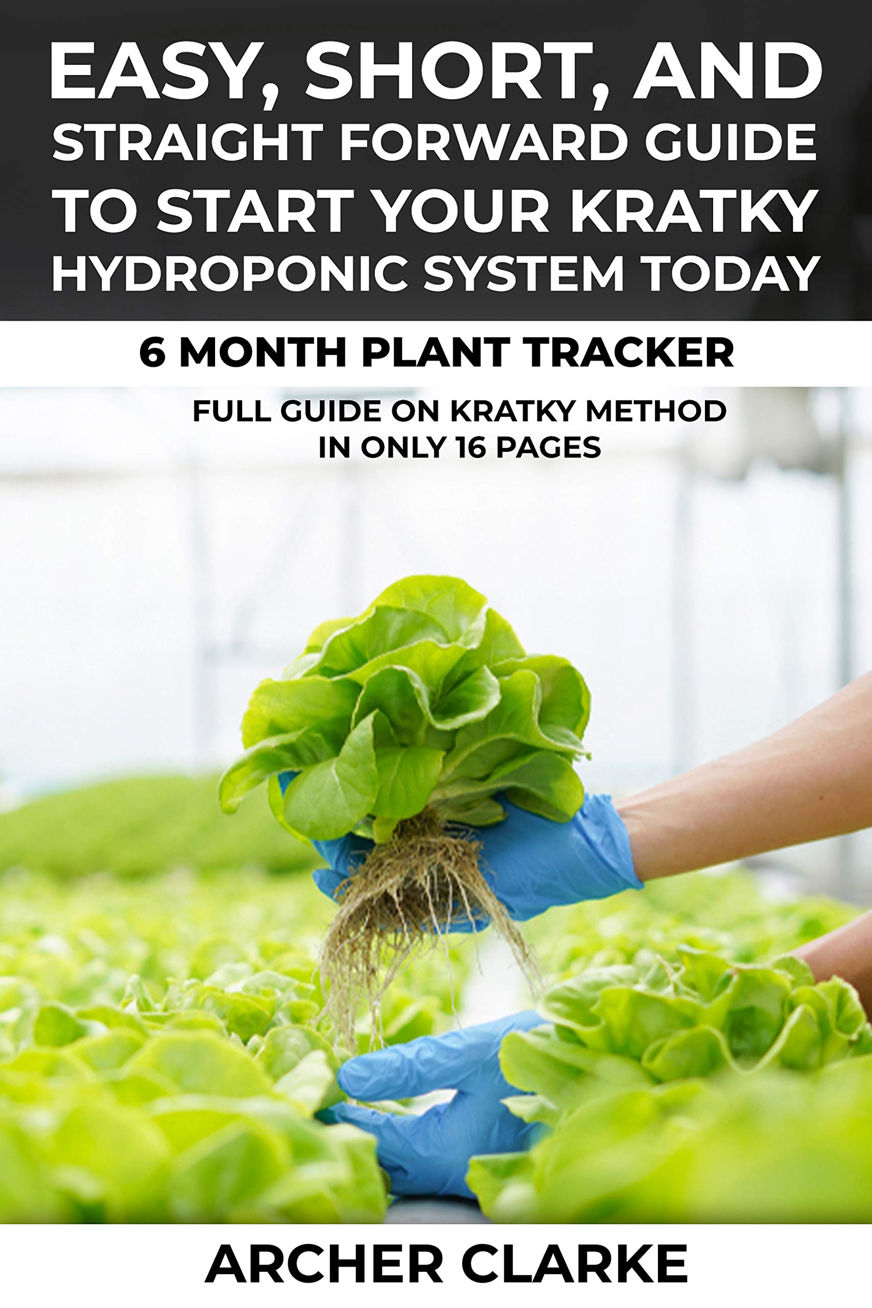 Easy, Short, and Straight Forward Guide to Start Your Kratky Hydroponic ...