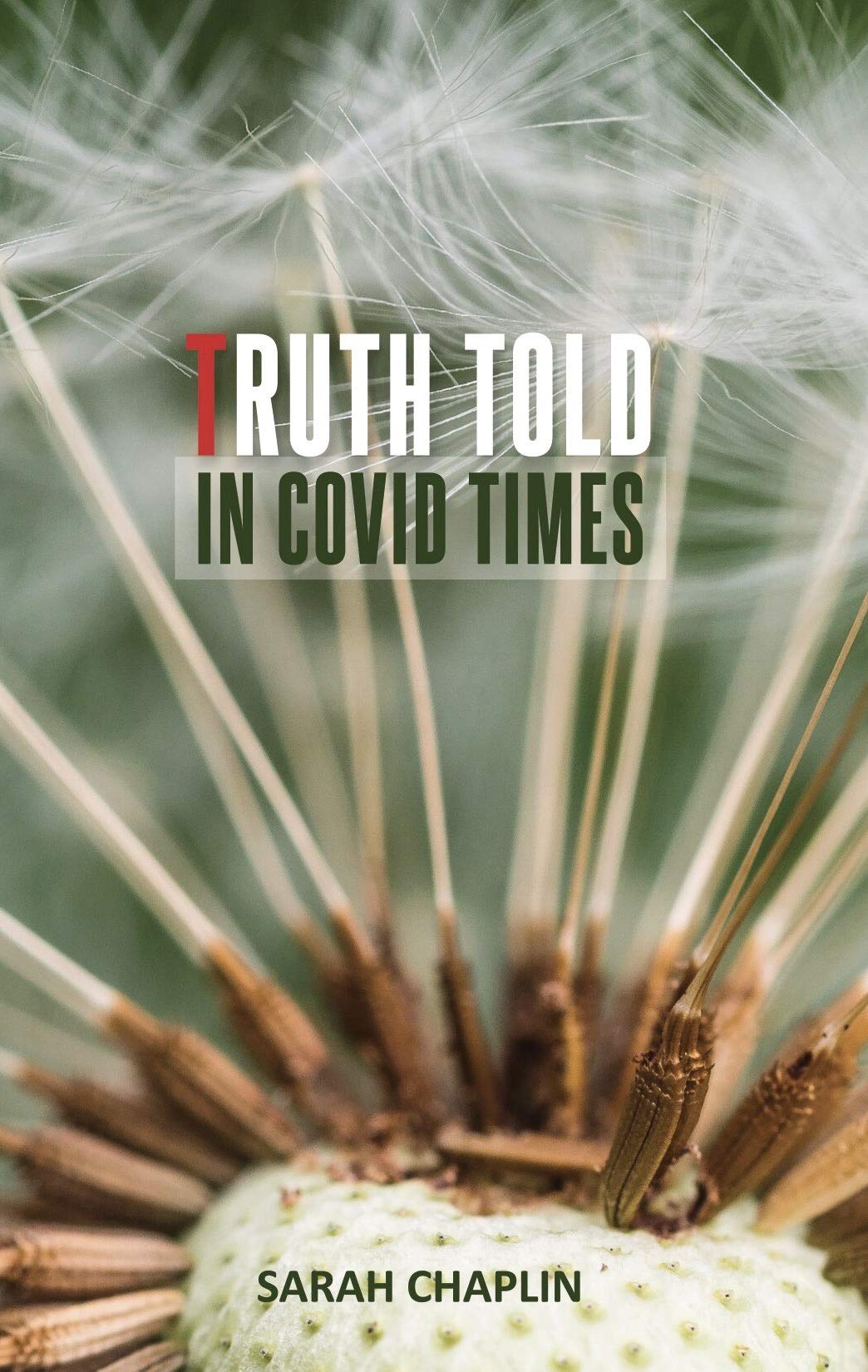 Truth Told in Covid Times by Sarah Chaplin | Goodreads
