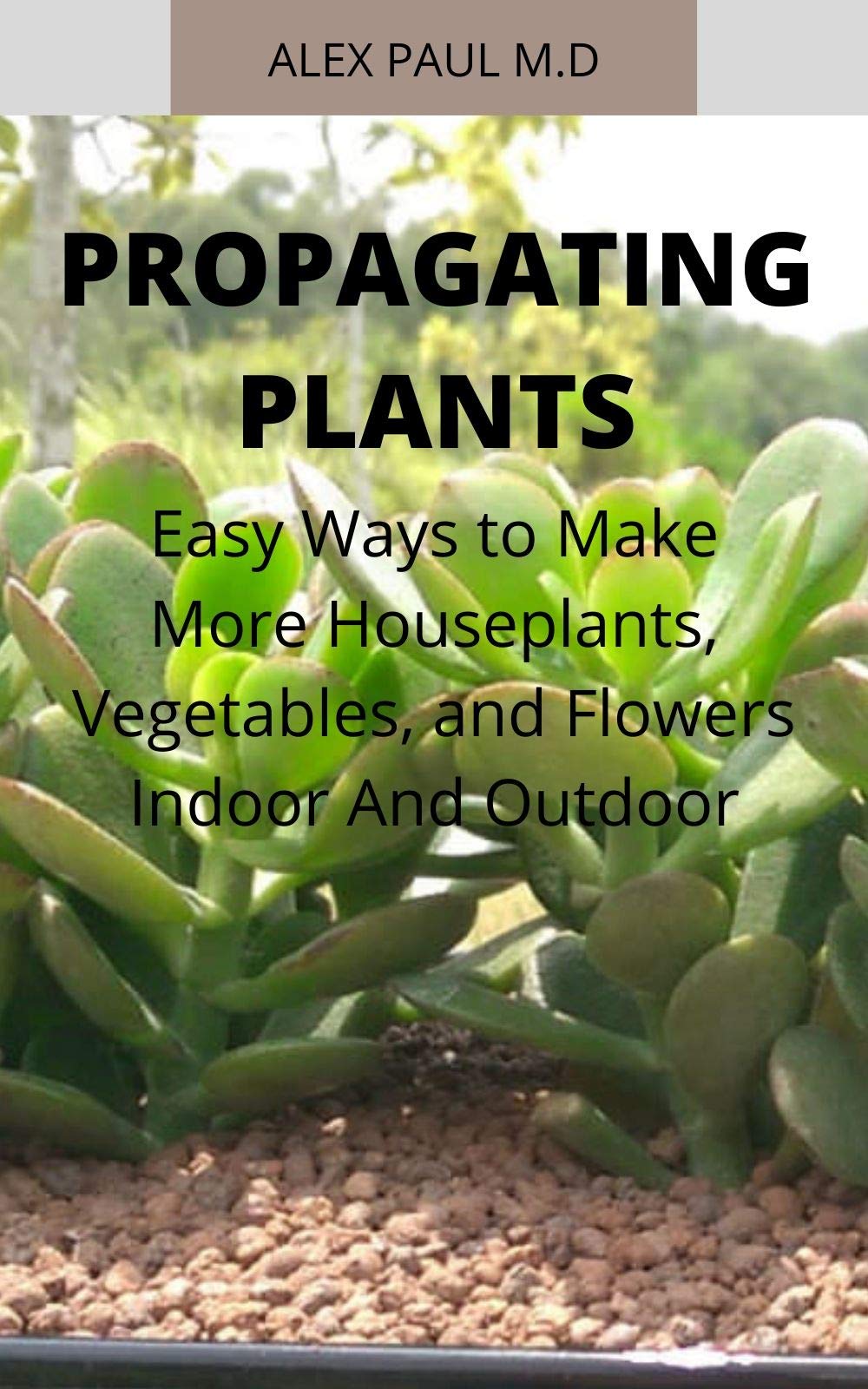PROPAGATING PLANTS : Prefect Guide to Propagating Your Own Flowers ...