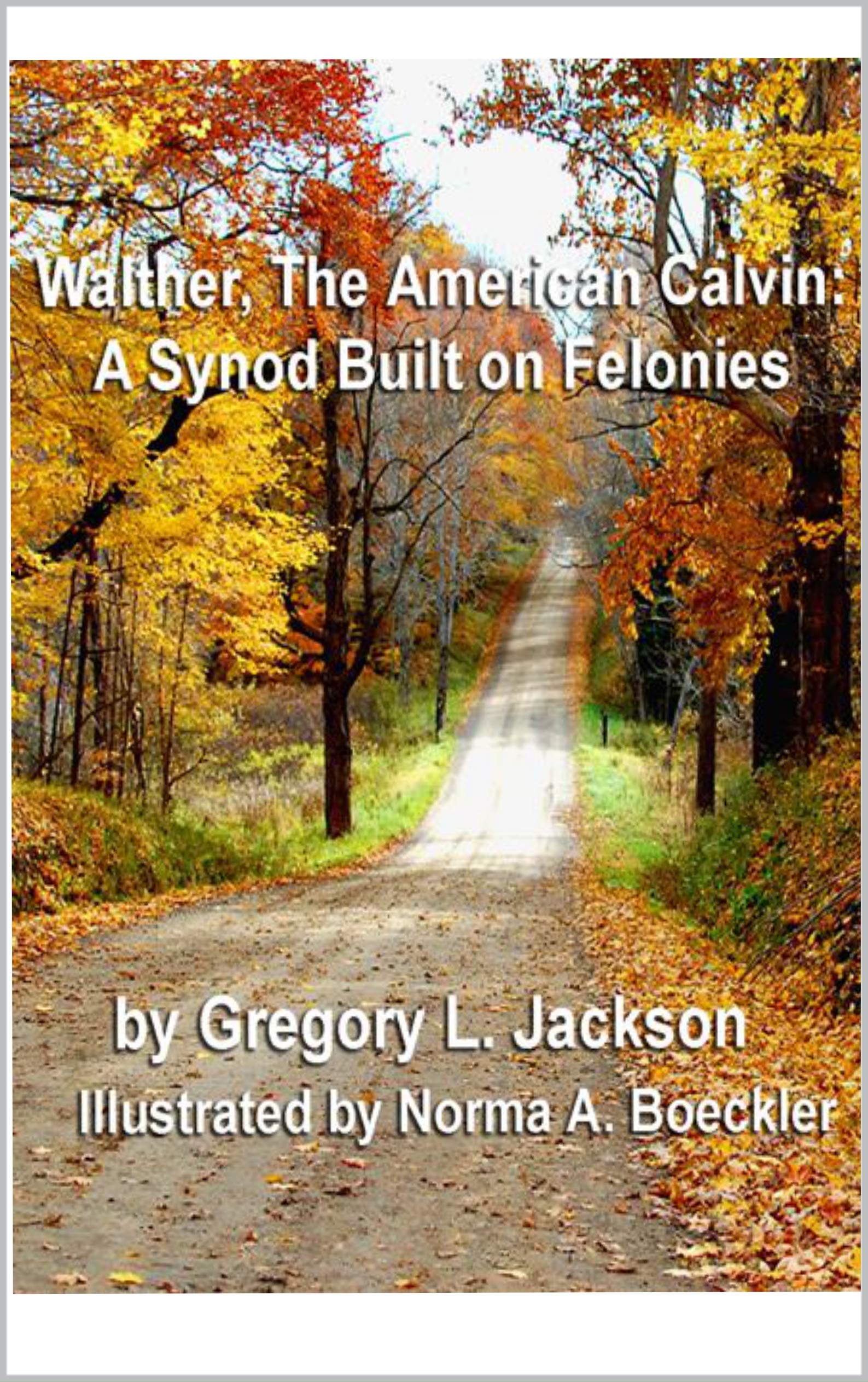 Walther, The American Calvin: A Synod Built on Felonies by Gregory ...