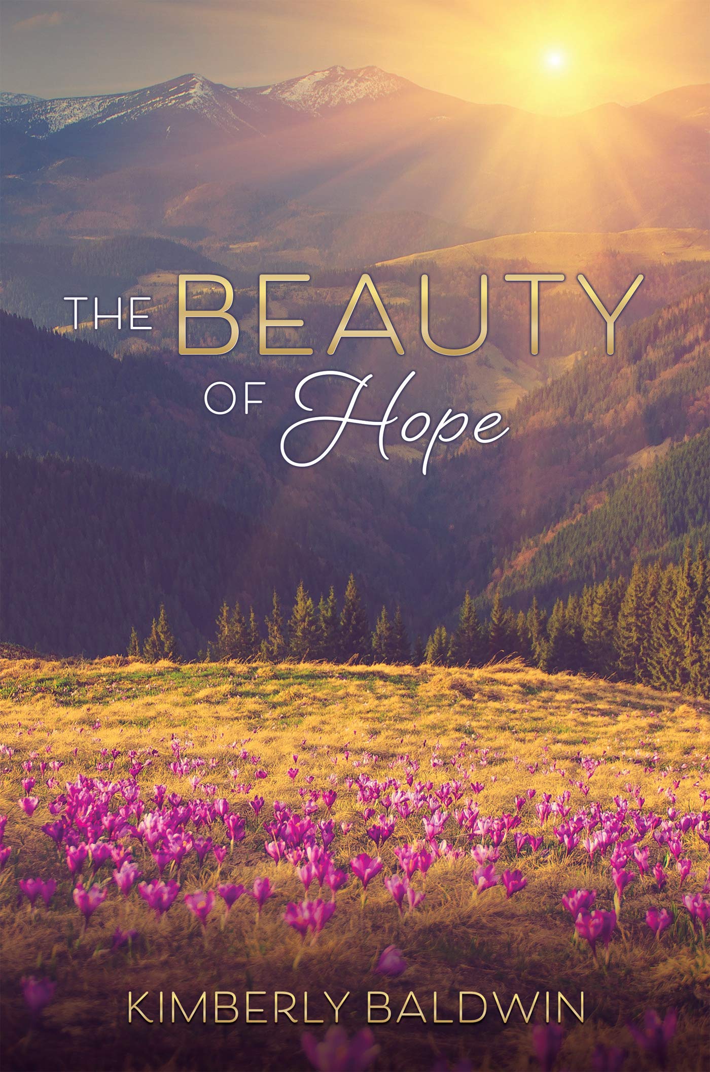 The Beauty of Hope by Kimberly Baldwin | Goodreads