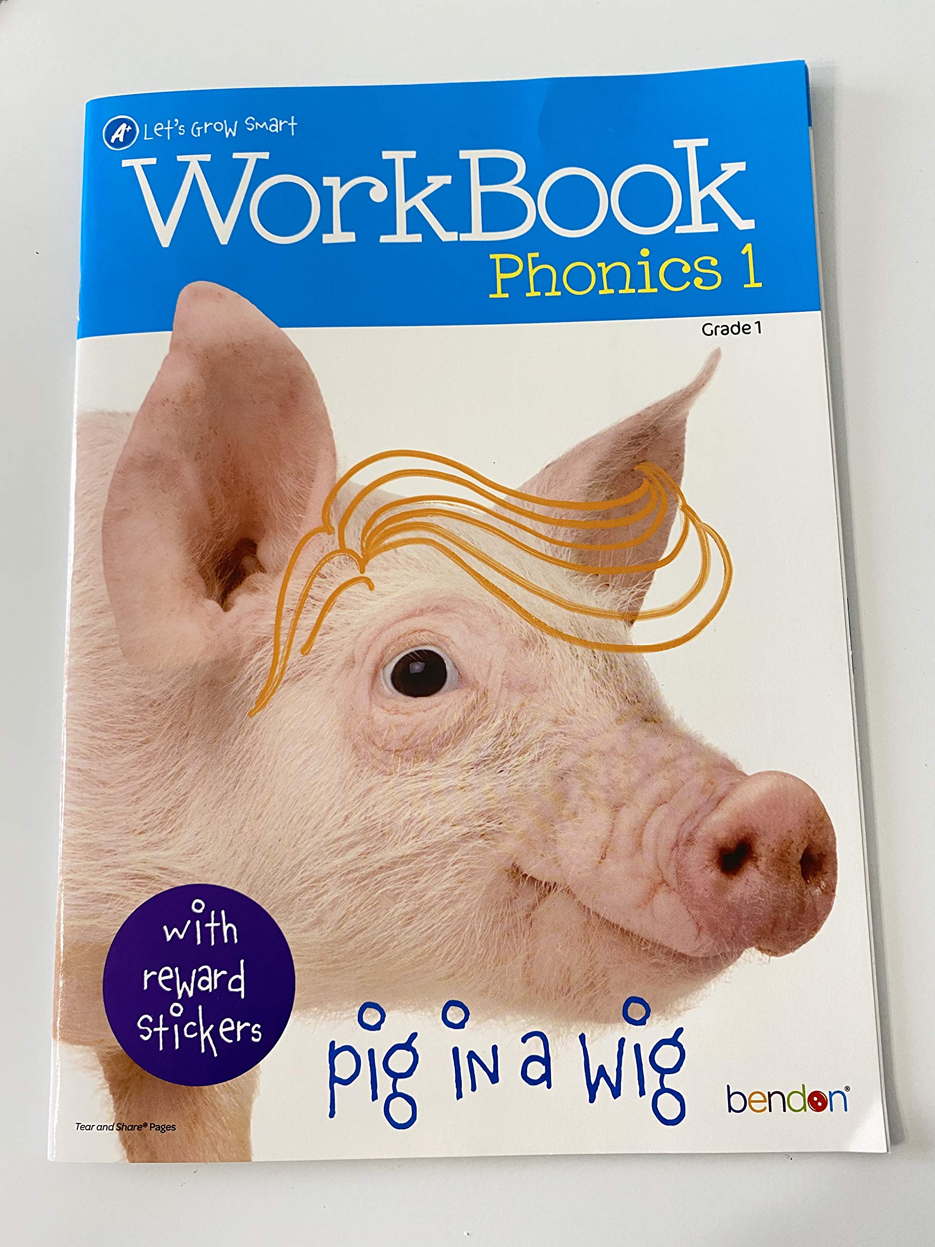 Smart Phonics 1 Flashcards