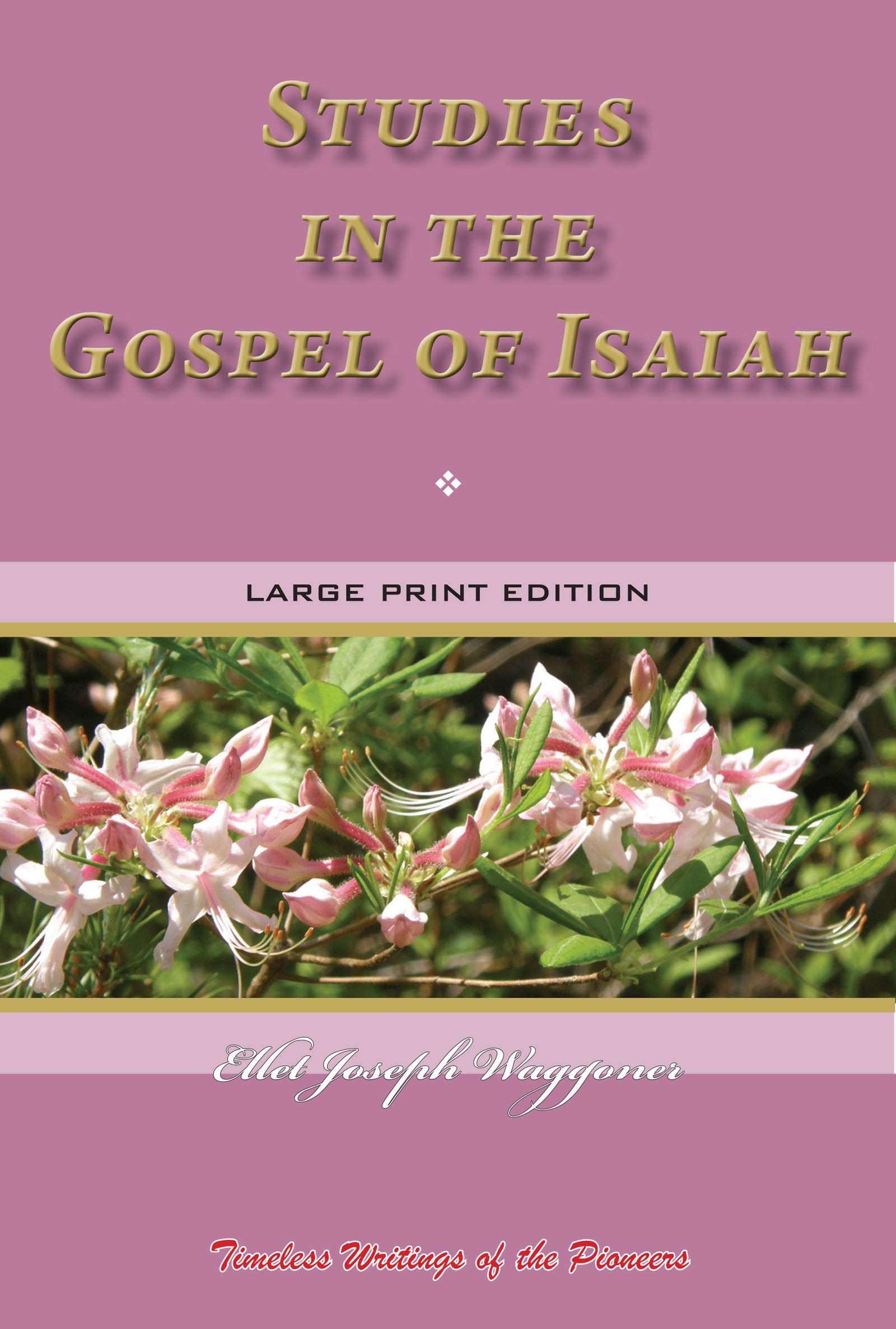 Studies in the Gospel of Isaiah: Timeless Writings of the Pioneers by ...
