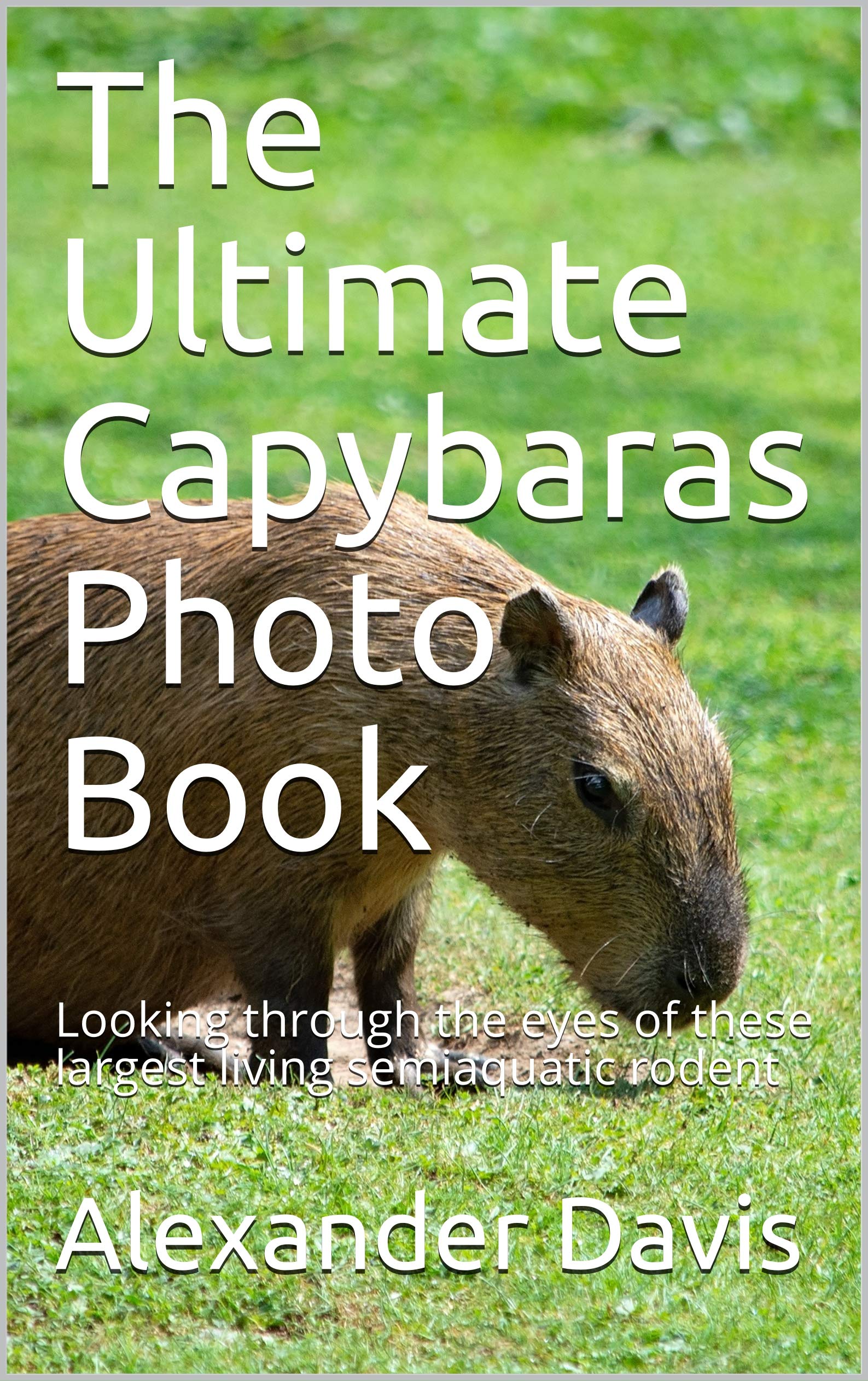 The Ultimate Capybaras Photo Book: Looking through the eyes of these ...