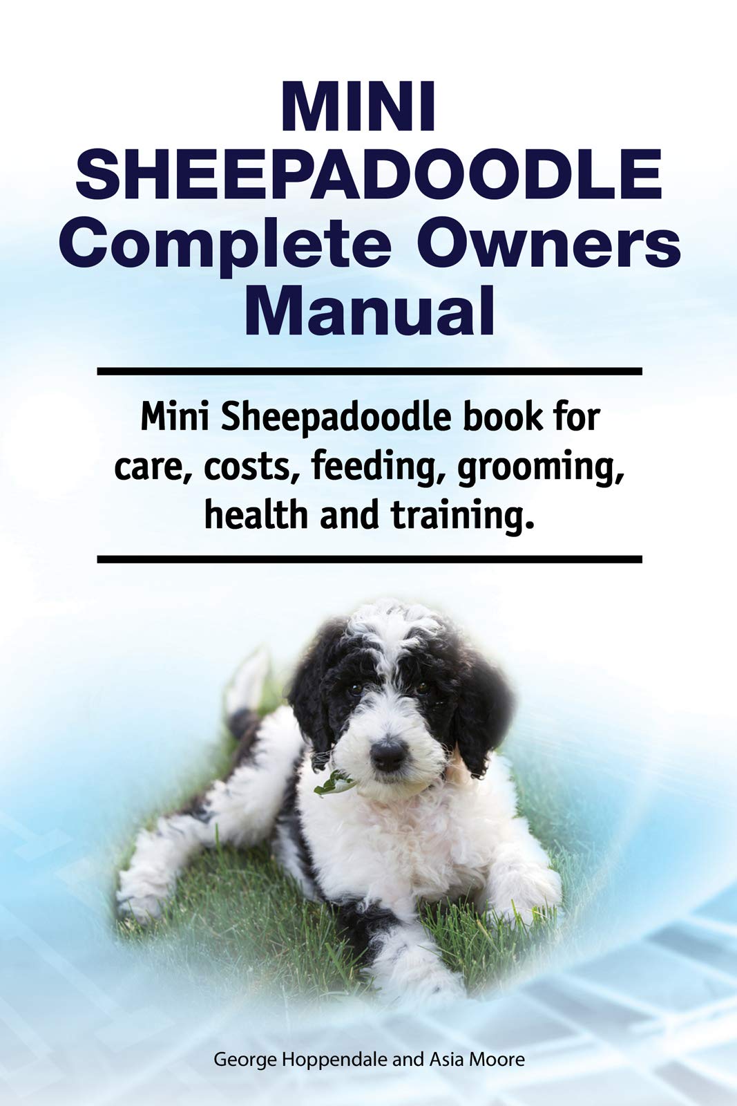Mini Sheepadoodle Complete Owners Manual. Mini Sheepadoodle book for care, costs, feeding ...
