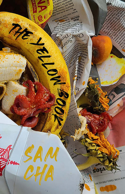 The Yellow Book by Sam Cha | Goodreads