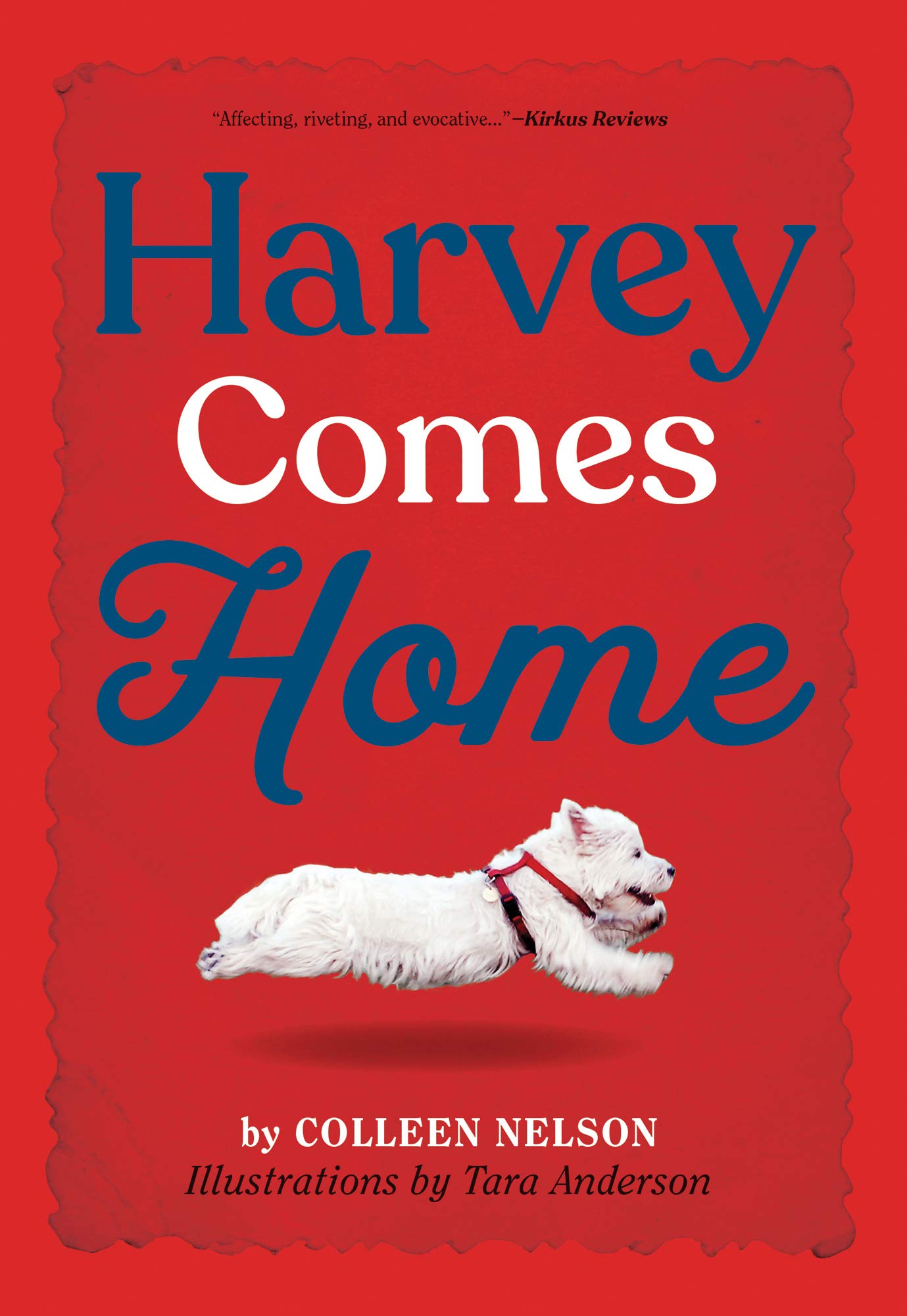 Harvey Comes Home (The Harvey Stories, 1) by Colleen Nelson | Goodreads