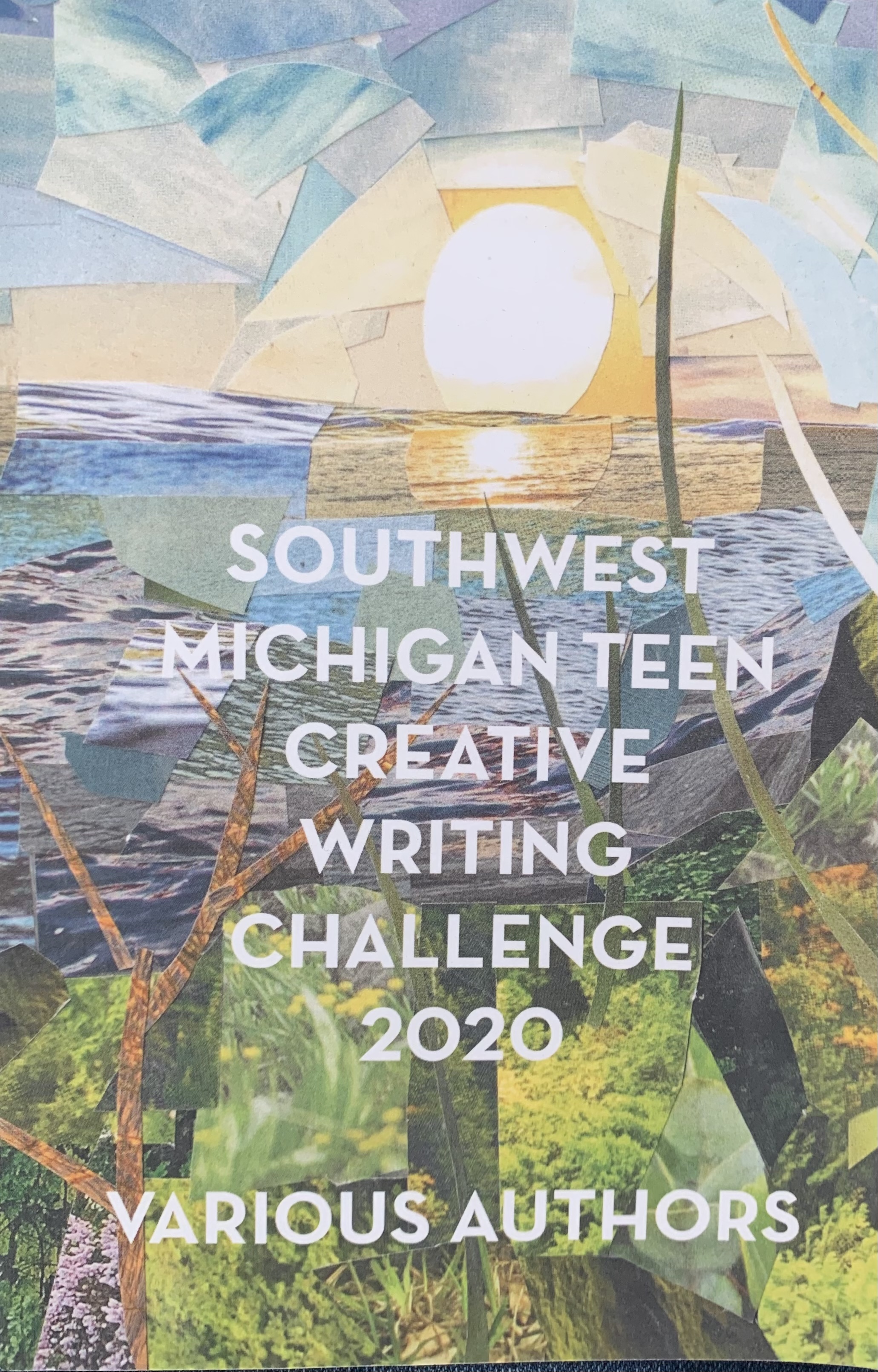 Southwest Michigan Teen Creative Writing Challenge 2020 by Various ...