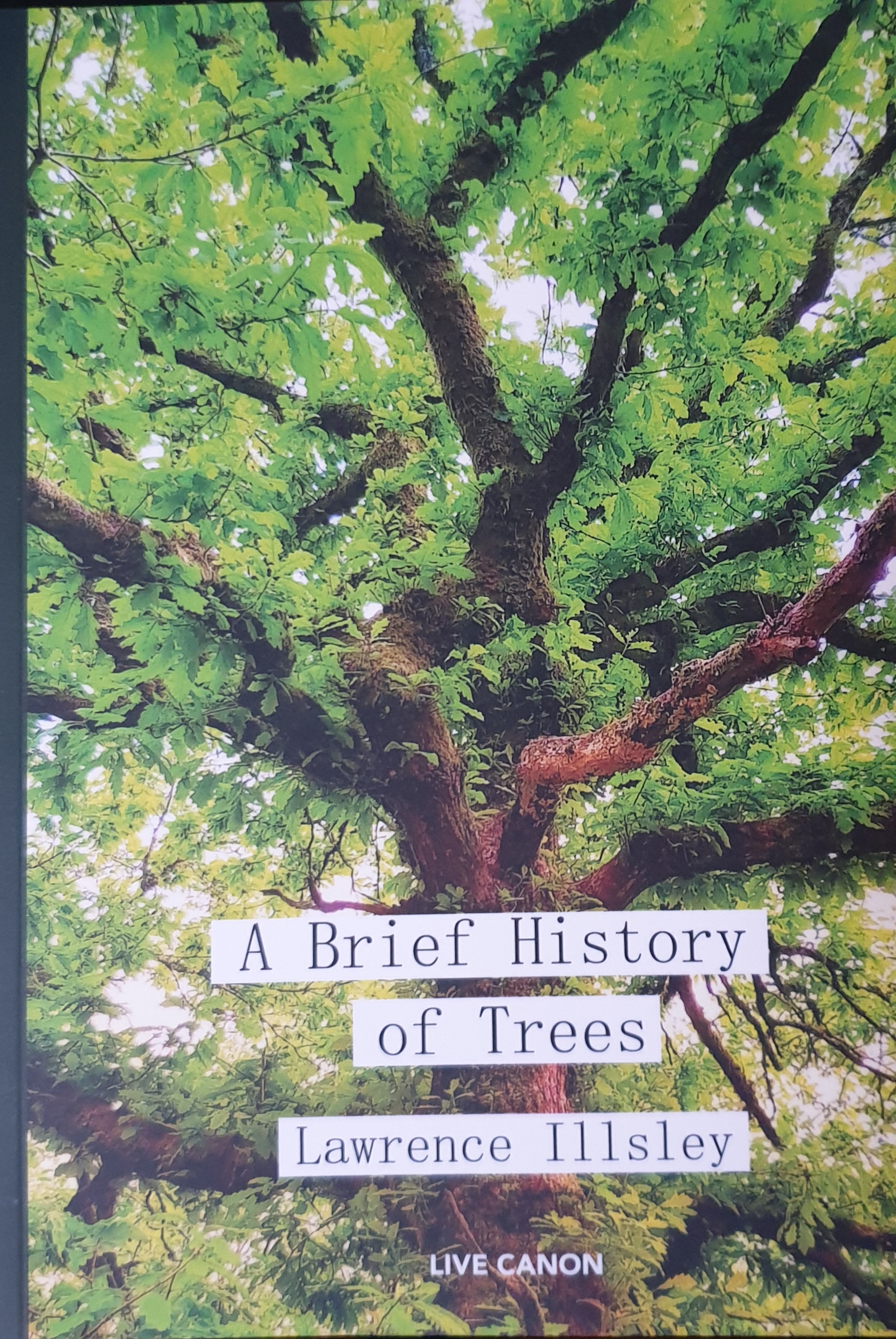 A Brief History of Trees by Lawrence Illsley | Goodreads