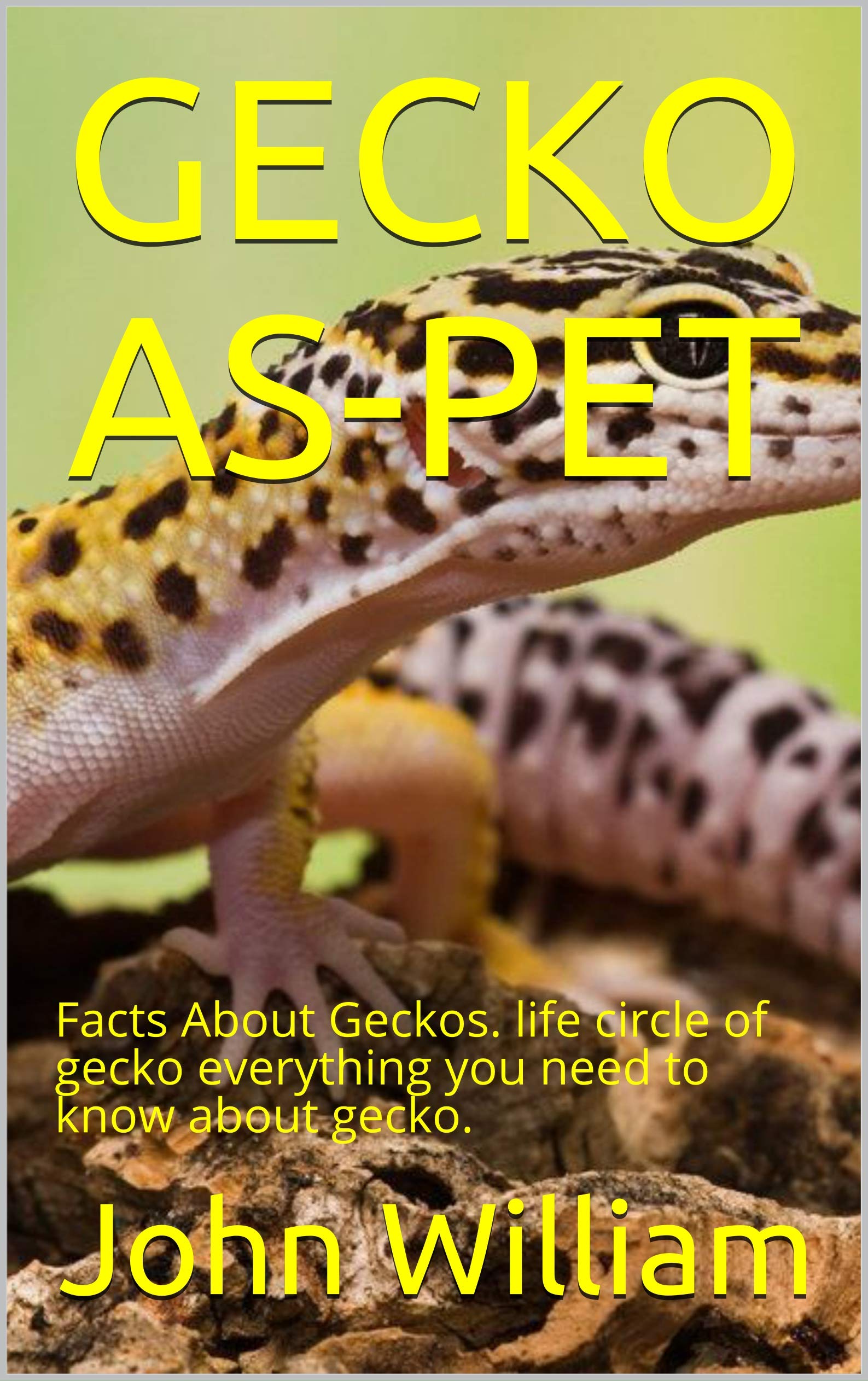 GECKO AS-PET: Facts About Geckos. life circle of gecko everything you ...