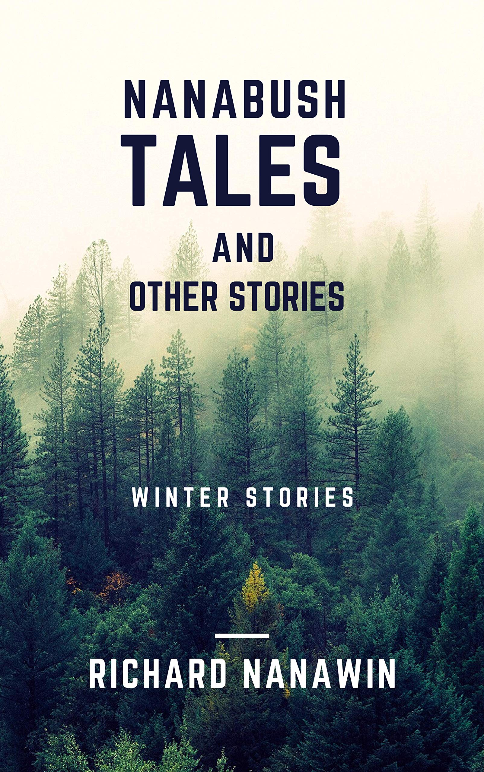 Nanabush Tales and Other Stories: Winter Stories by Richard Nanawin ...
