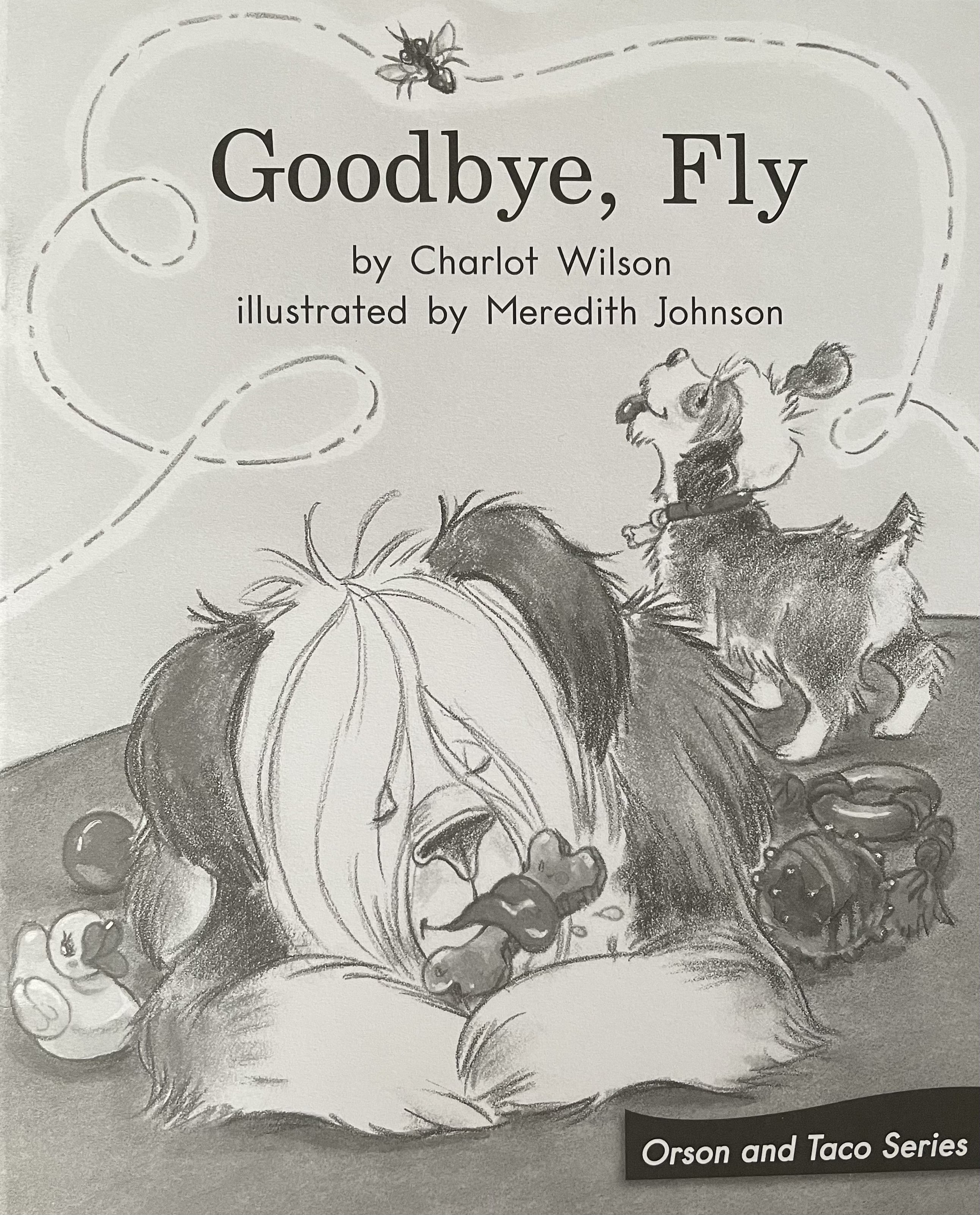 Goodbye, Fly by Charlot Wilson | Goodreads