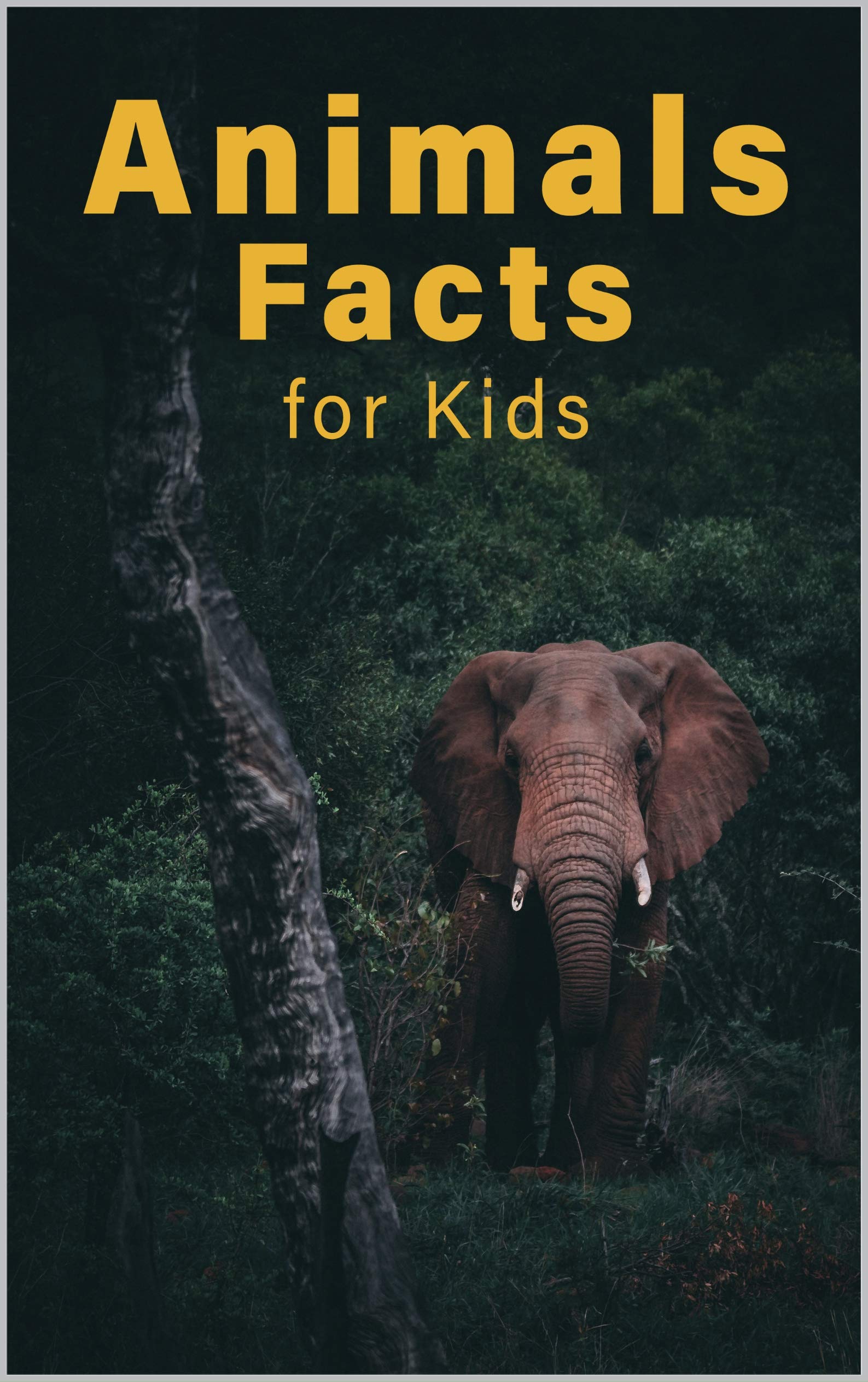 Animals Facts for Kids: Did You Know Animals Kids, 100 Facts Animals ...