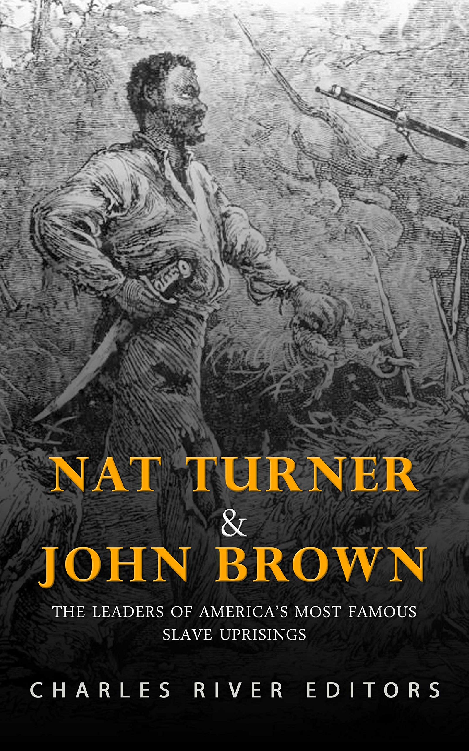 Nat Turner and John Brown: The Leaders of America’s Most Famous Slave ...