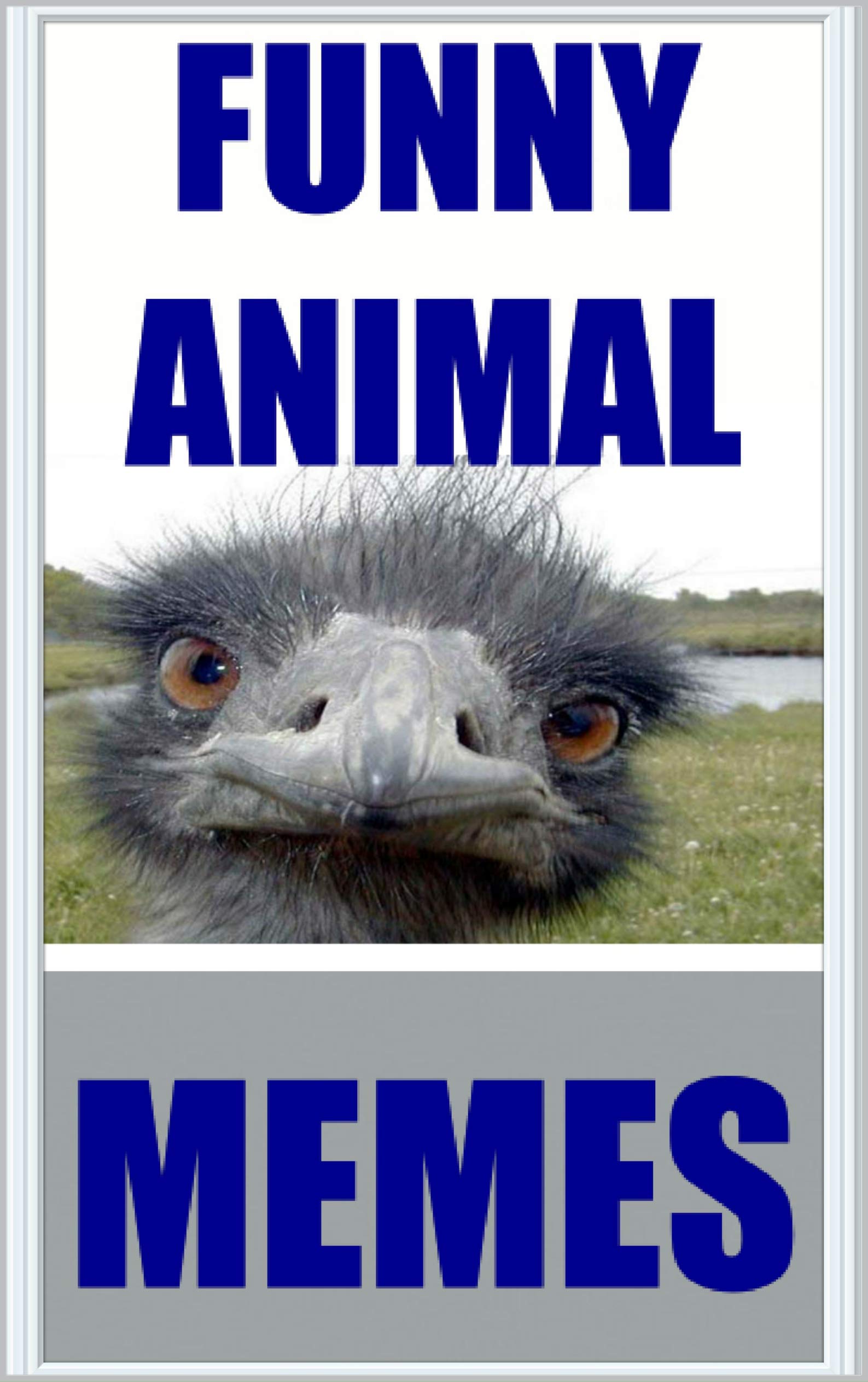 Blank Animal Memes