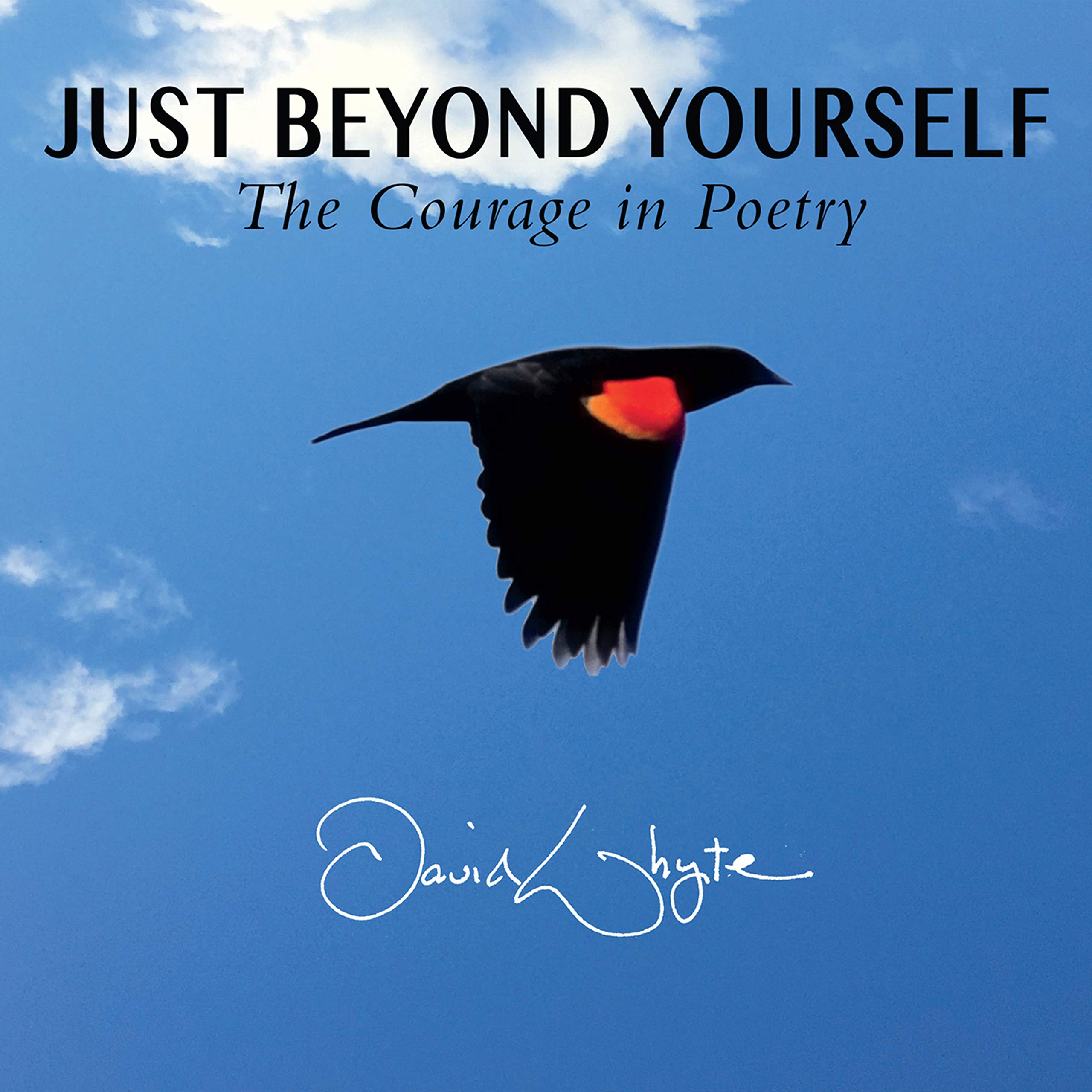 Just Beyond Yourself: The Courage in Poetry by David Whyte | Goodreads