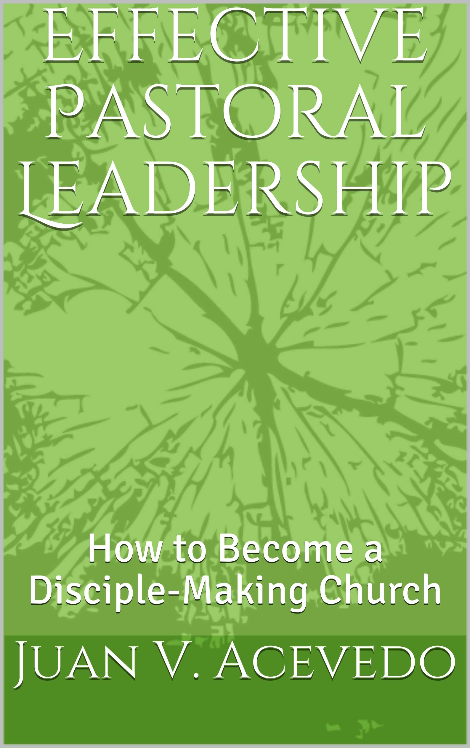 Effective Pastoral Leadership: How to Become a Disciple-Making Church ...