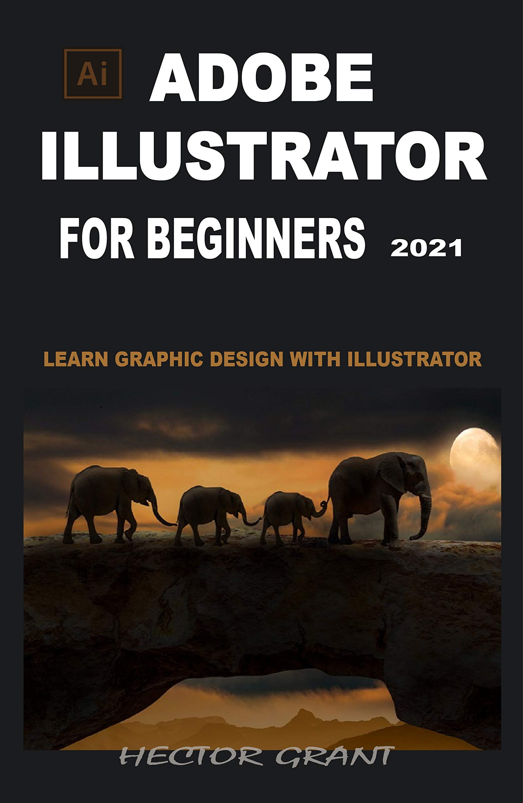 ADOBE ILLUSTRATOR FOR BEGINNERS 2021: LEARN GRAPHIC DESIGN WITH ...