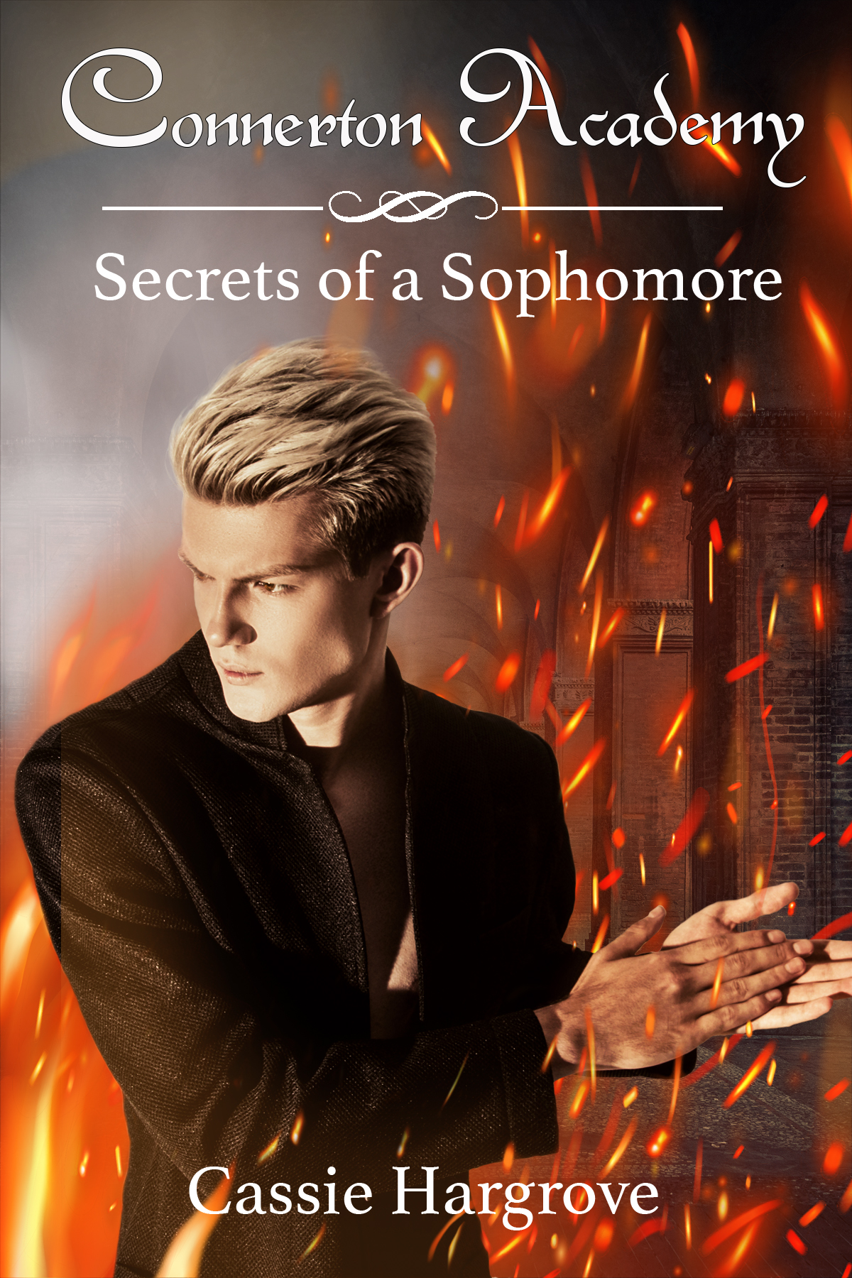 Secrets of a Sophomore (Connerton Academy, #2) by Cassie Hargrove | Goodreads